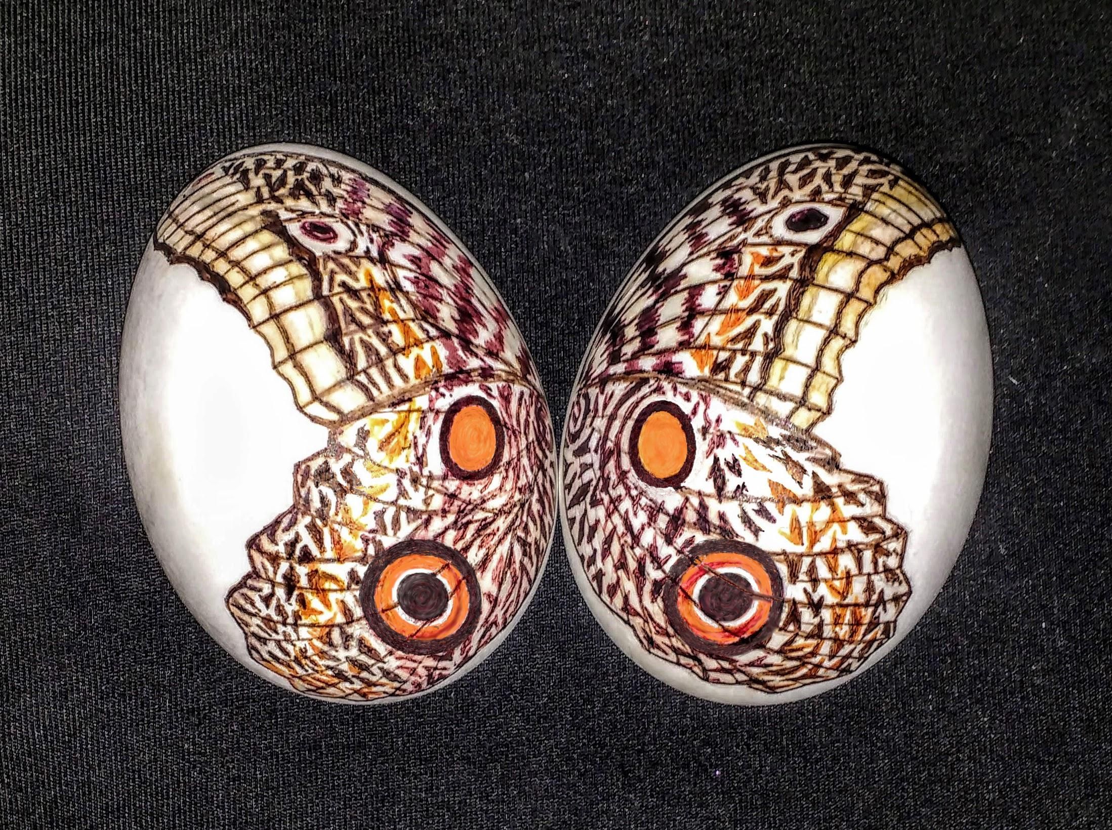 Eggsquisite, Egssortic Eggshell Craft : 5 Steps - Instructables