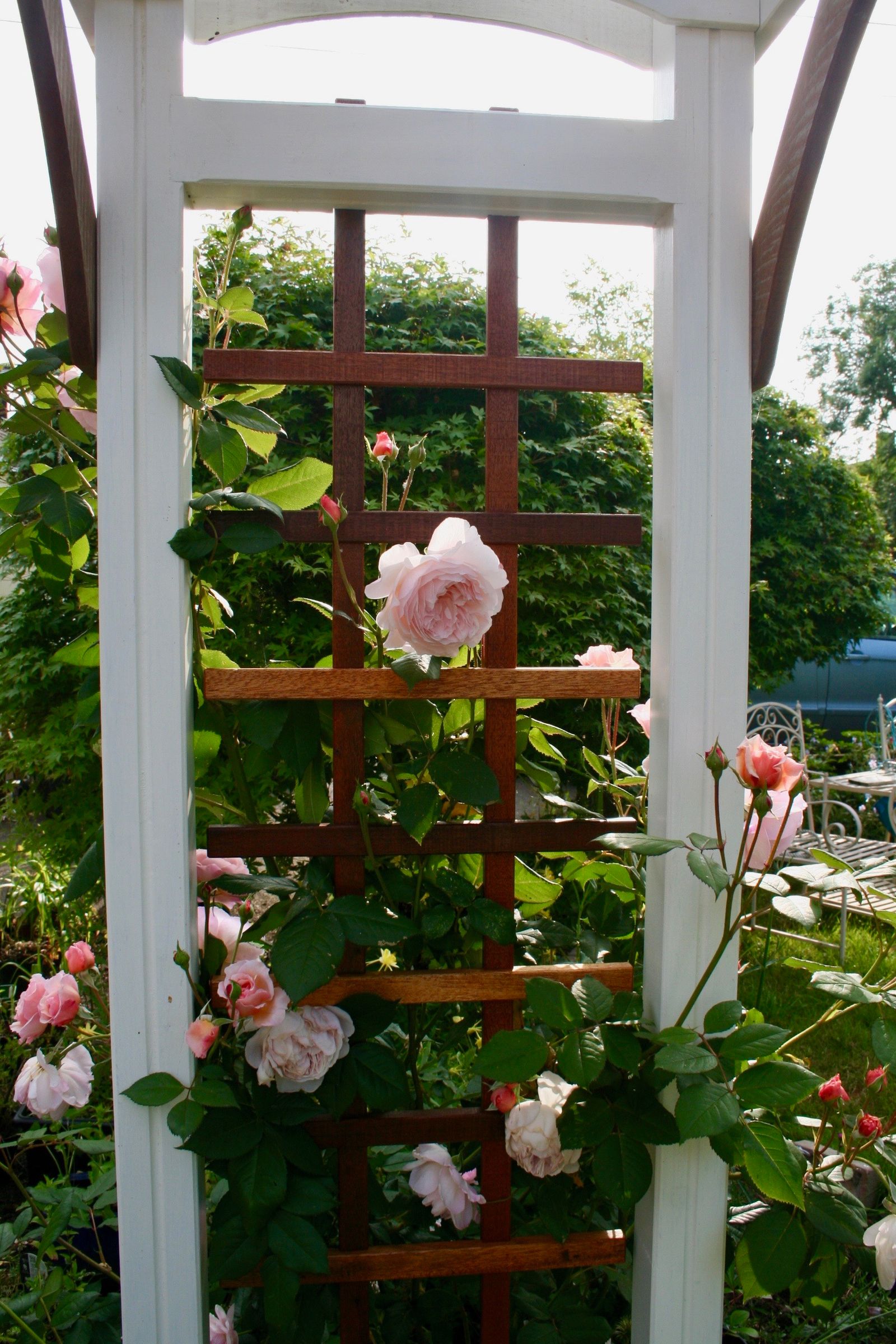 Garden Rose Arbour : 12 Steps (with Pictures) - Instructables