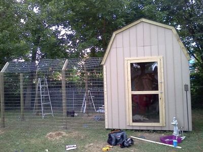 Cat Shack Fever - Instructables
