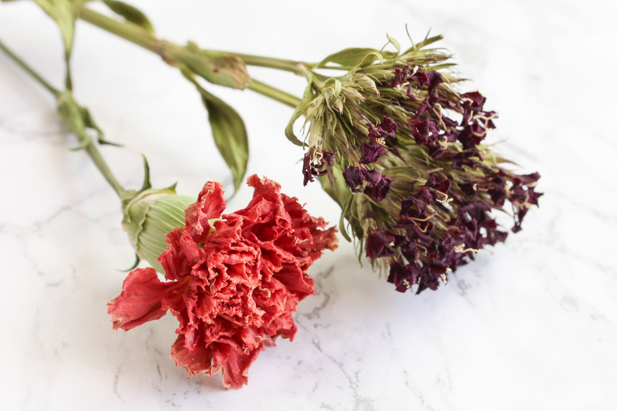 How to Press and Dry Flowers (and Leaves!) : 8 Steps (with Pictures ...