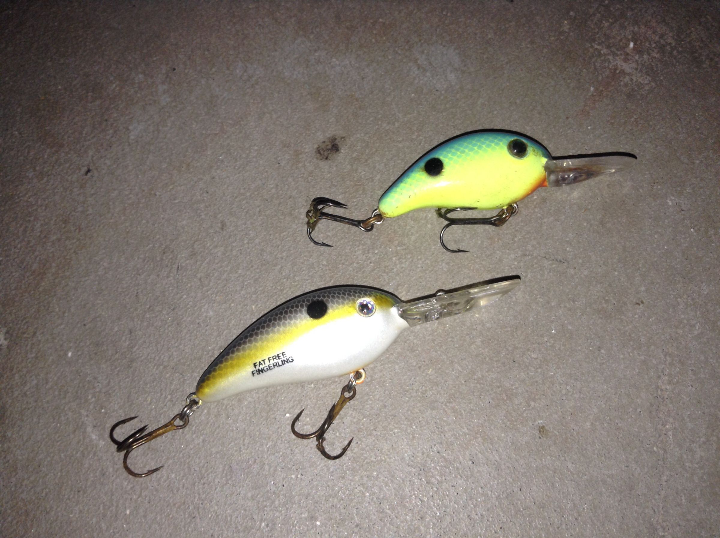 Guide to Fresh Water Fishing : 5 Steps - Instructables