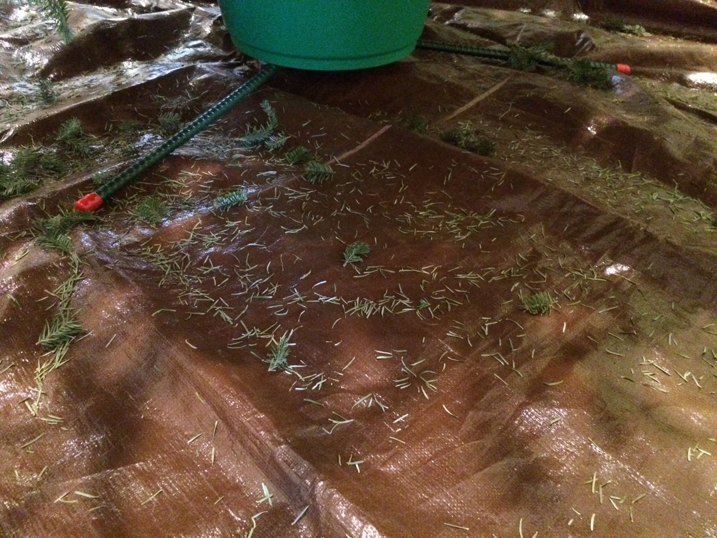 Less Messy Christmas Tree Removal : 8 Steps (with Pictures) - Instructables