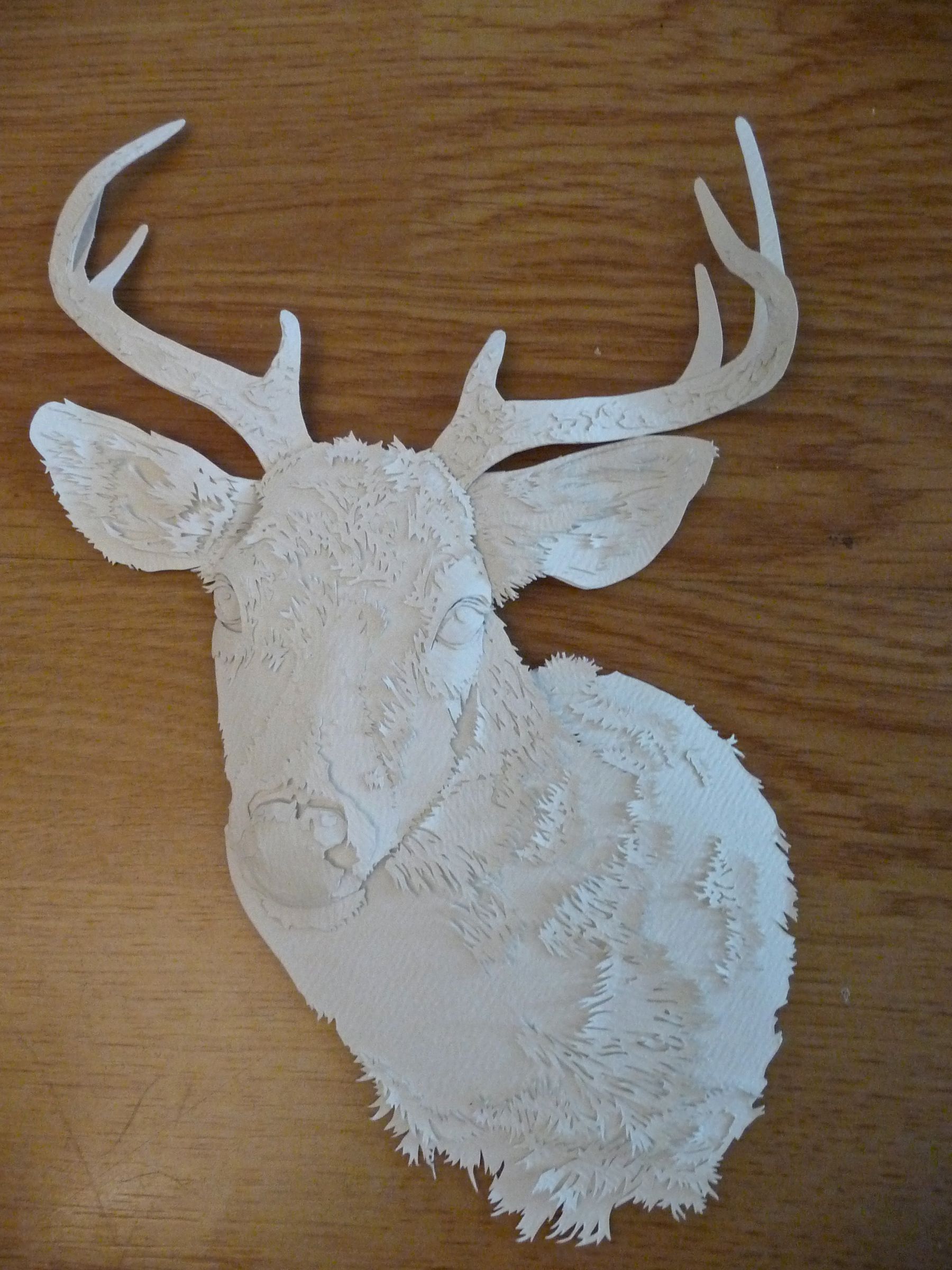 3D Layered Paper : 5 Steps (with Pictures) - Instructables