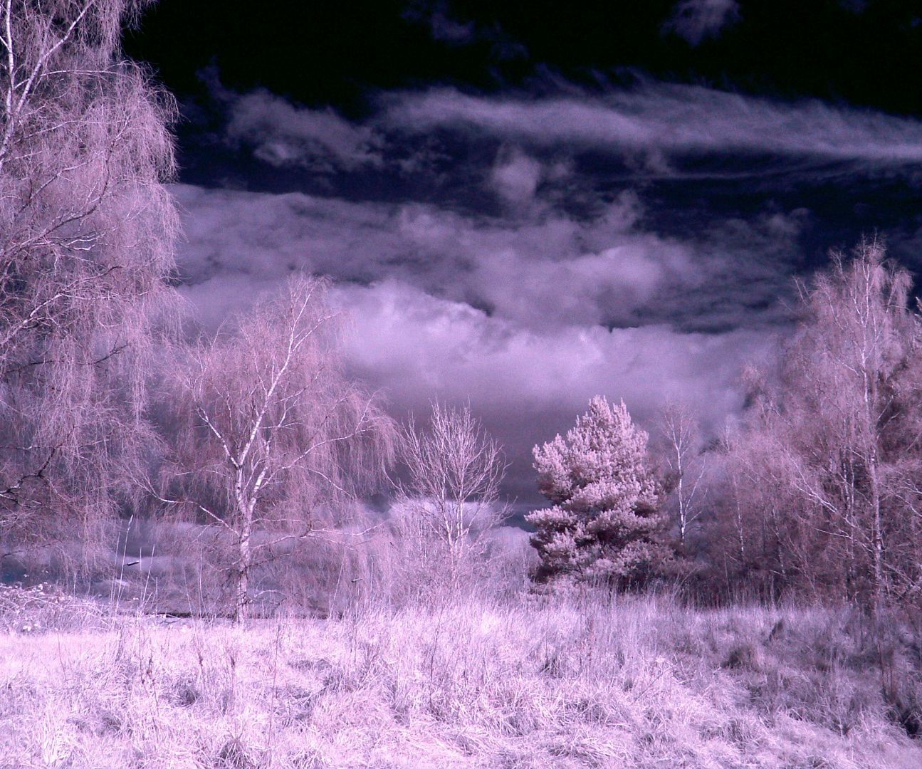 Converting a Lumix DMC FZ-7 Camera to Infrared : 8 Steps (with Pictures ...