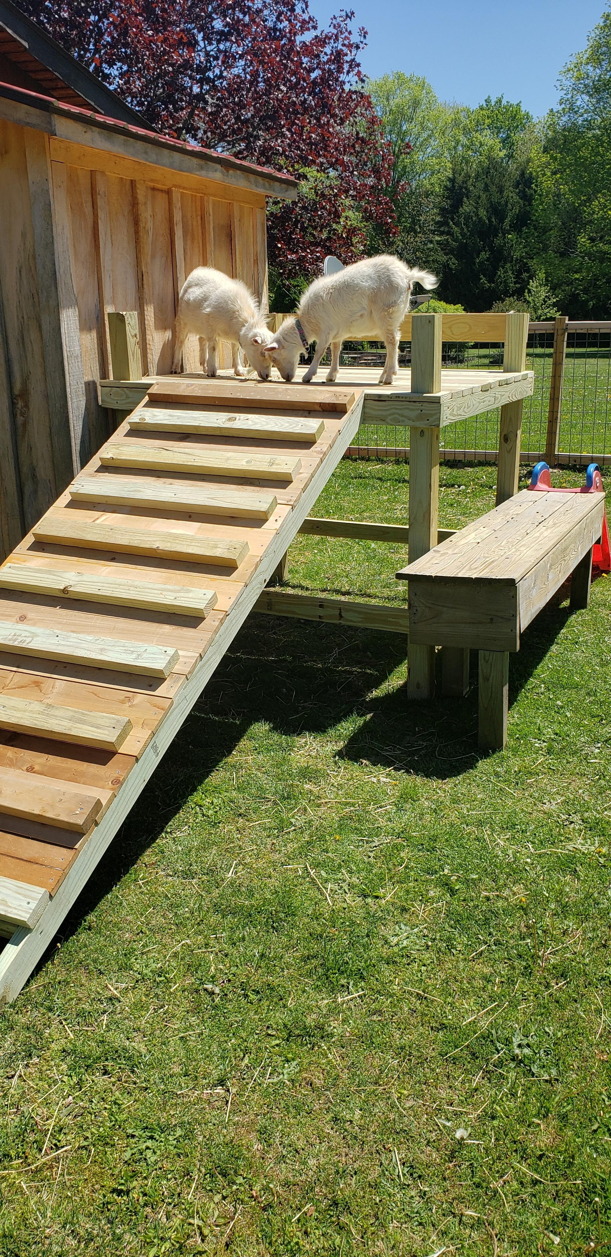 Goat Tower With Slide : 8 Steps (with Pictures) - Instructables