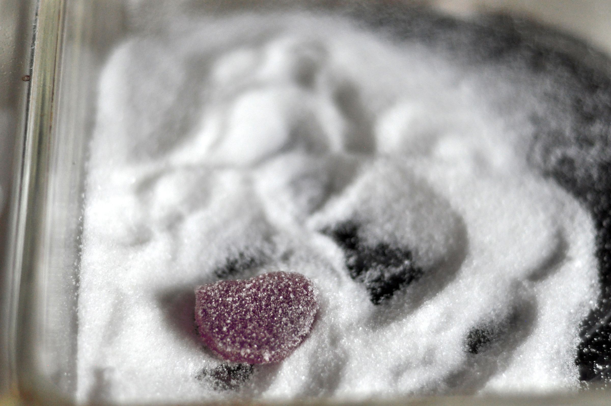 Grape Gumdrops (with Pictures) - Instructables