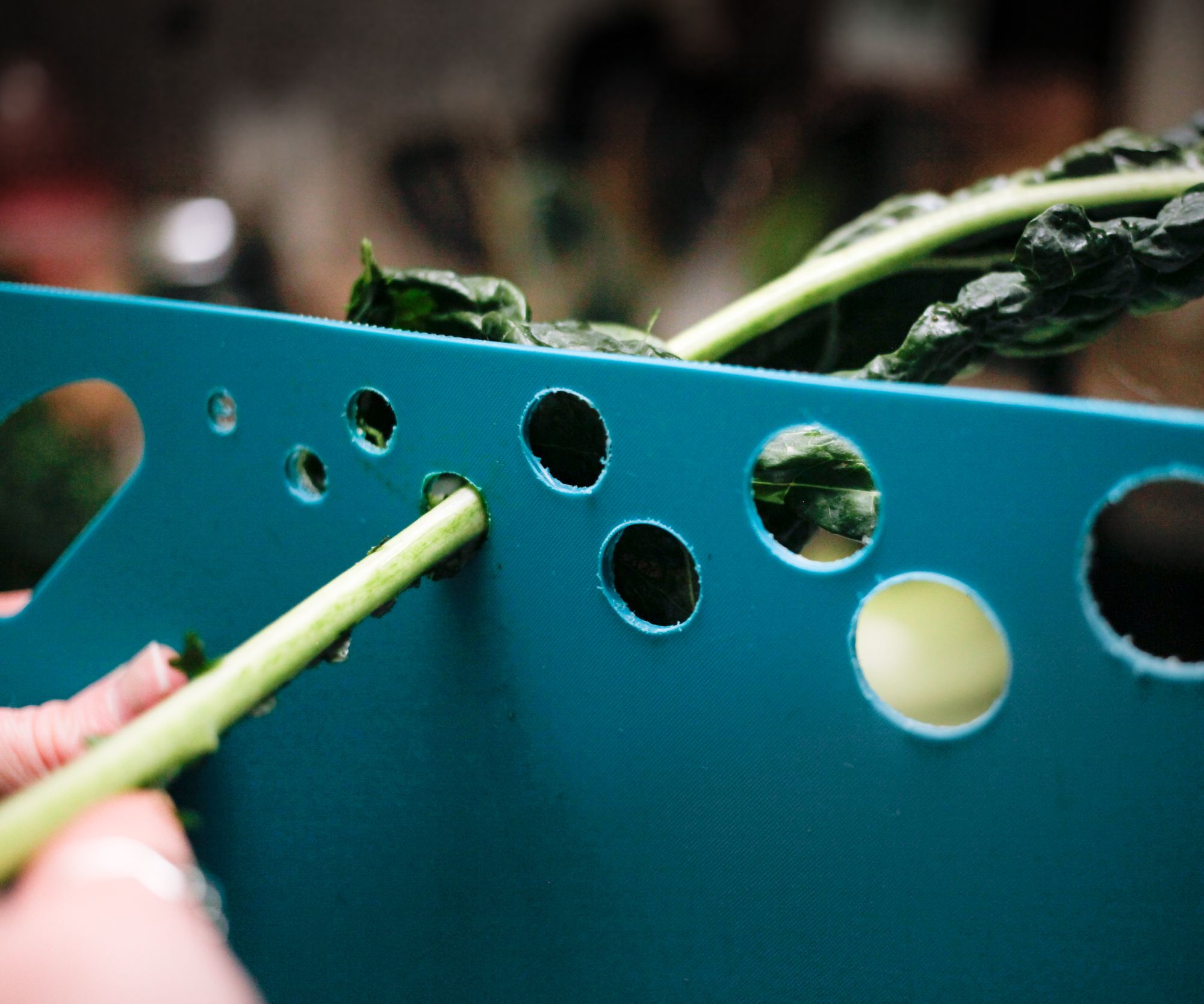 The Deleafer : 5 Steps (with Pictures) - Instructables