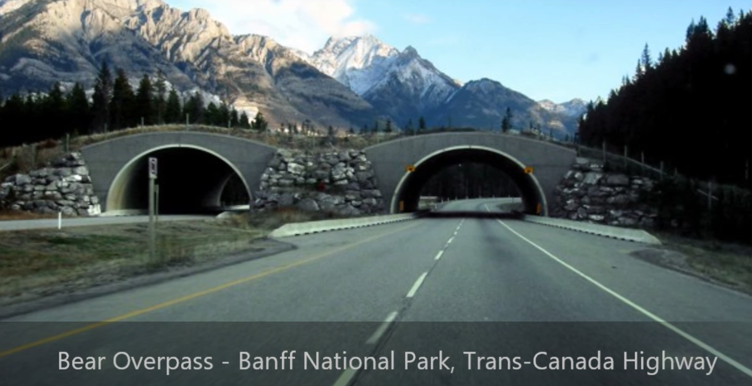 Wildlife Overpass : 13 Steps (with Pictures) - Instructables