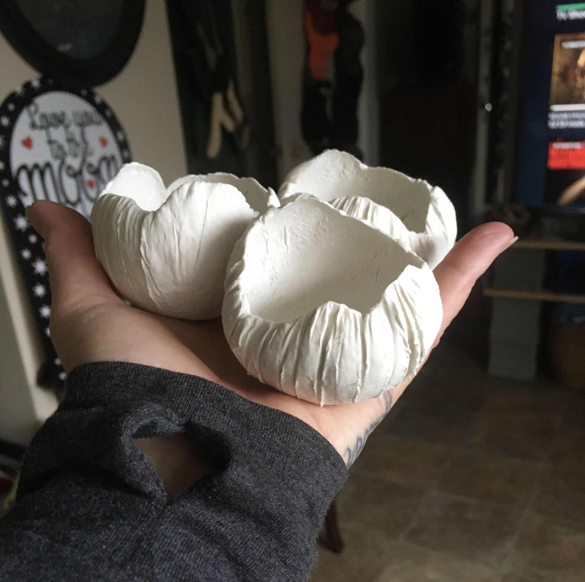 Barnacle Sculptures--and an Experiment With 2 Kinds of Homemade Paper ...