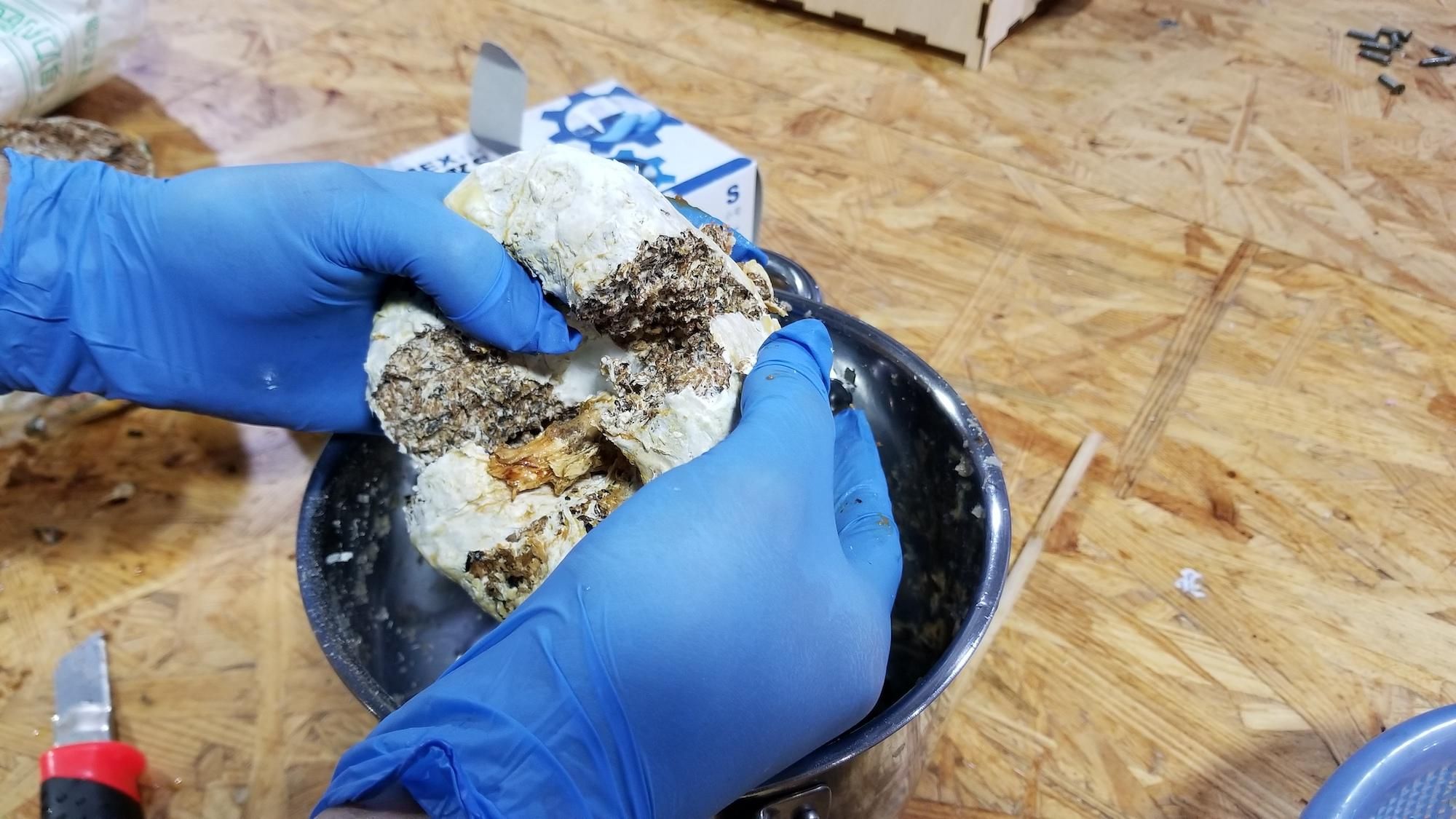 Mycelium Stool (prototype) : 8 Steps - Instructables