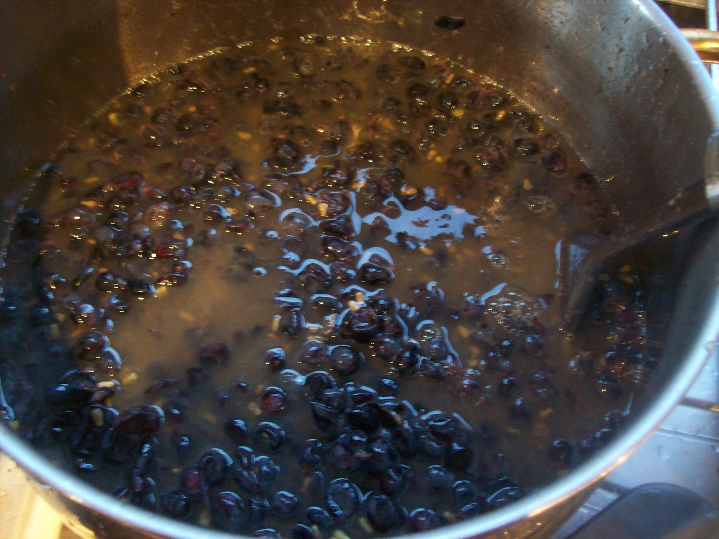 Homemade Grape Juice! : 8 Steps - Instructables