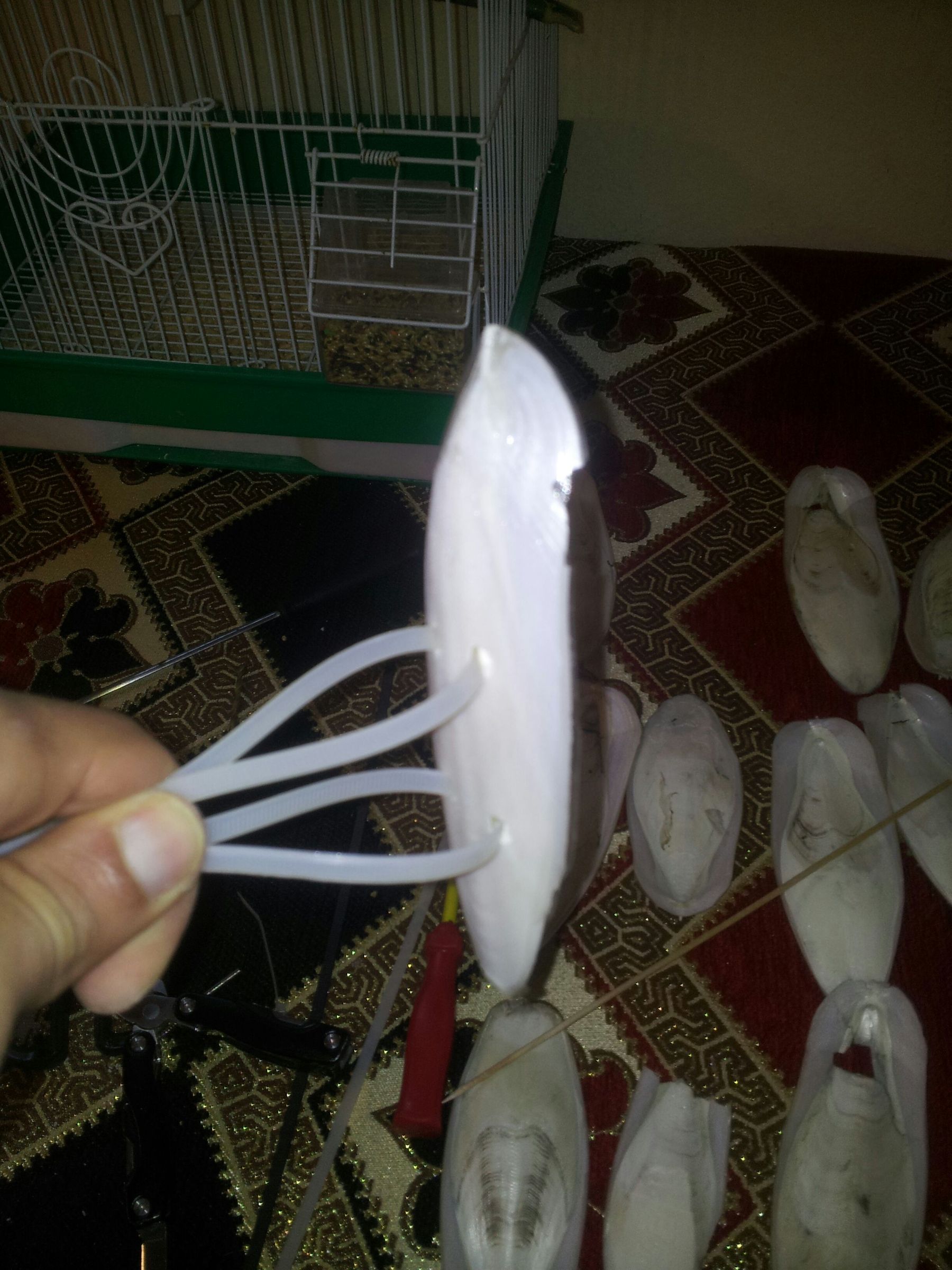 Zip Tie Cuttlebone Holder for Birds : 6 Steps - Instructables