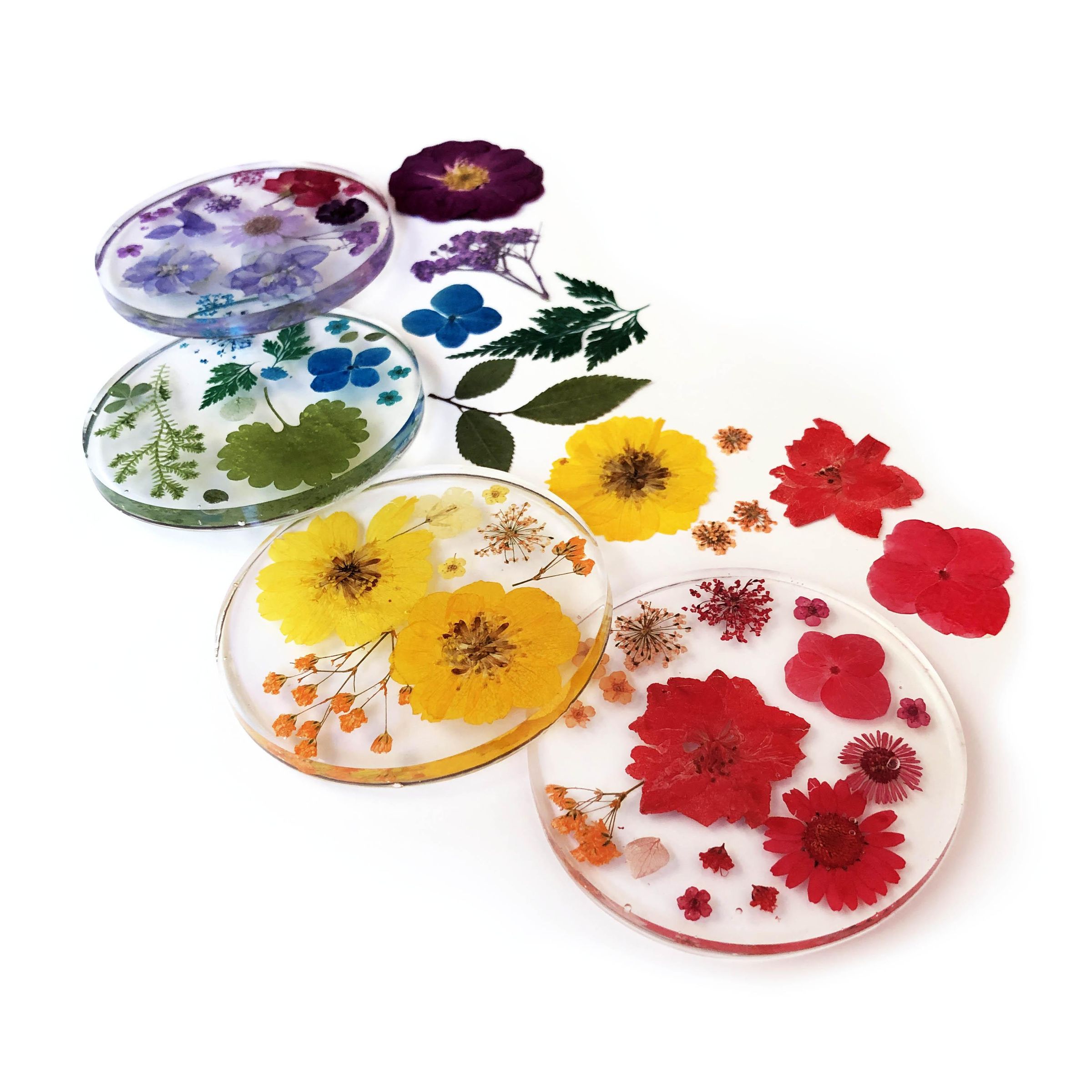 Ultimate Rainbow Dried Flowers & Resin Coaster Set : 11 Steps (with ...