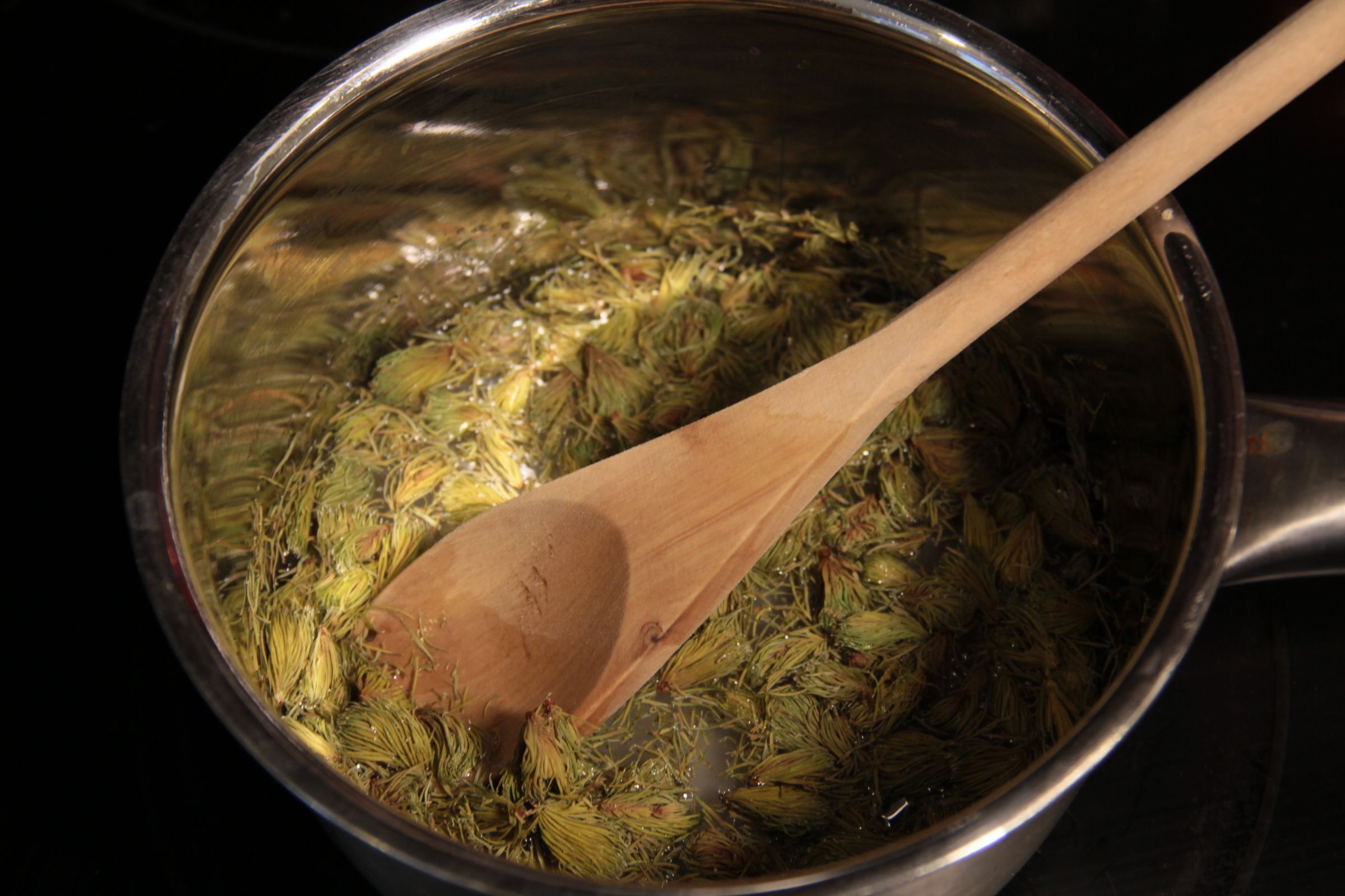 Spruce Tip Syrup : 6 Steps (with Pictures) - Instructables