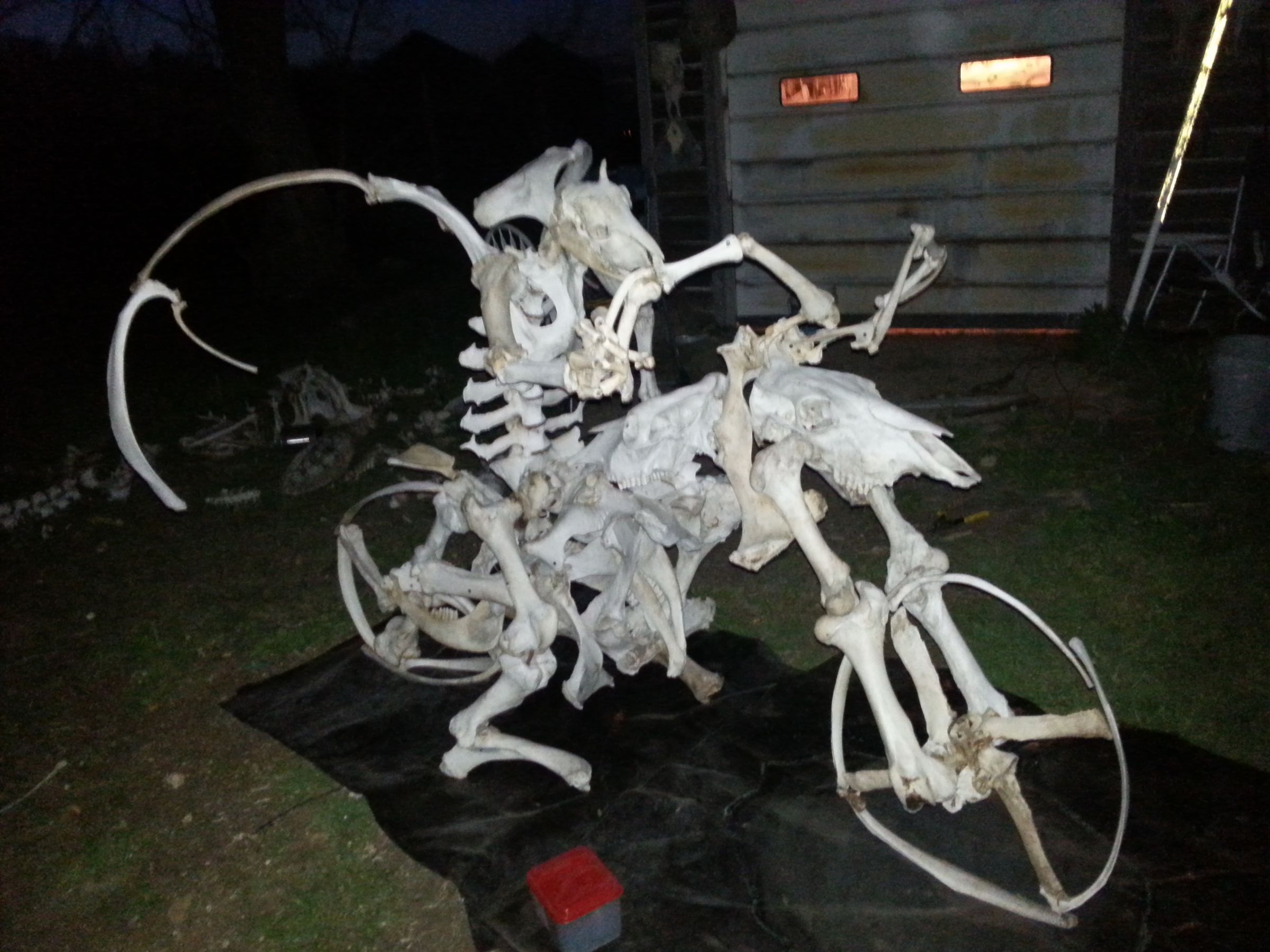 Bone Sculptures : 11 Steps (with Pictures) - Instructables
