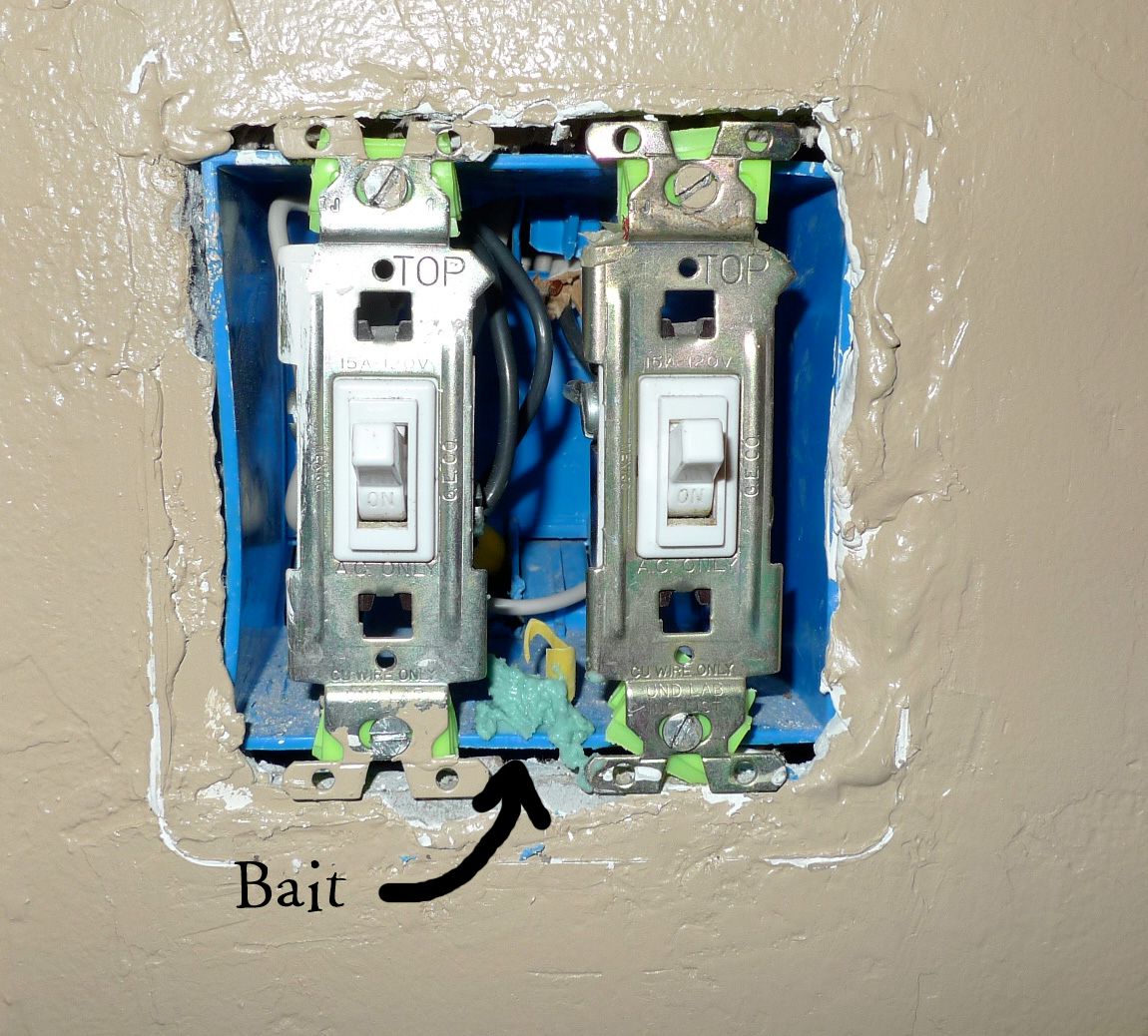 No More Roaches : 8 Steps (with Pictures) - Instructables