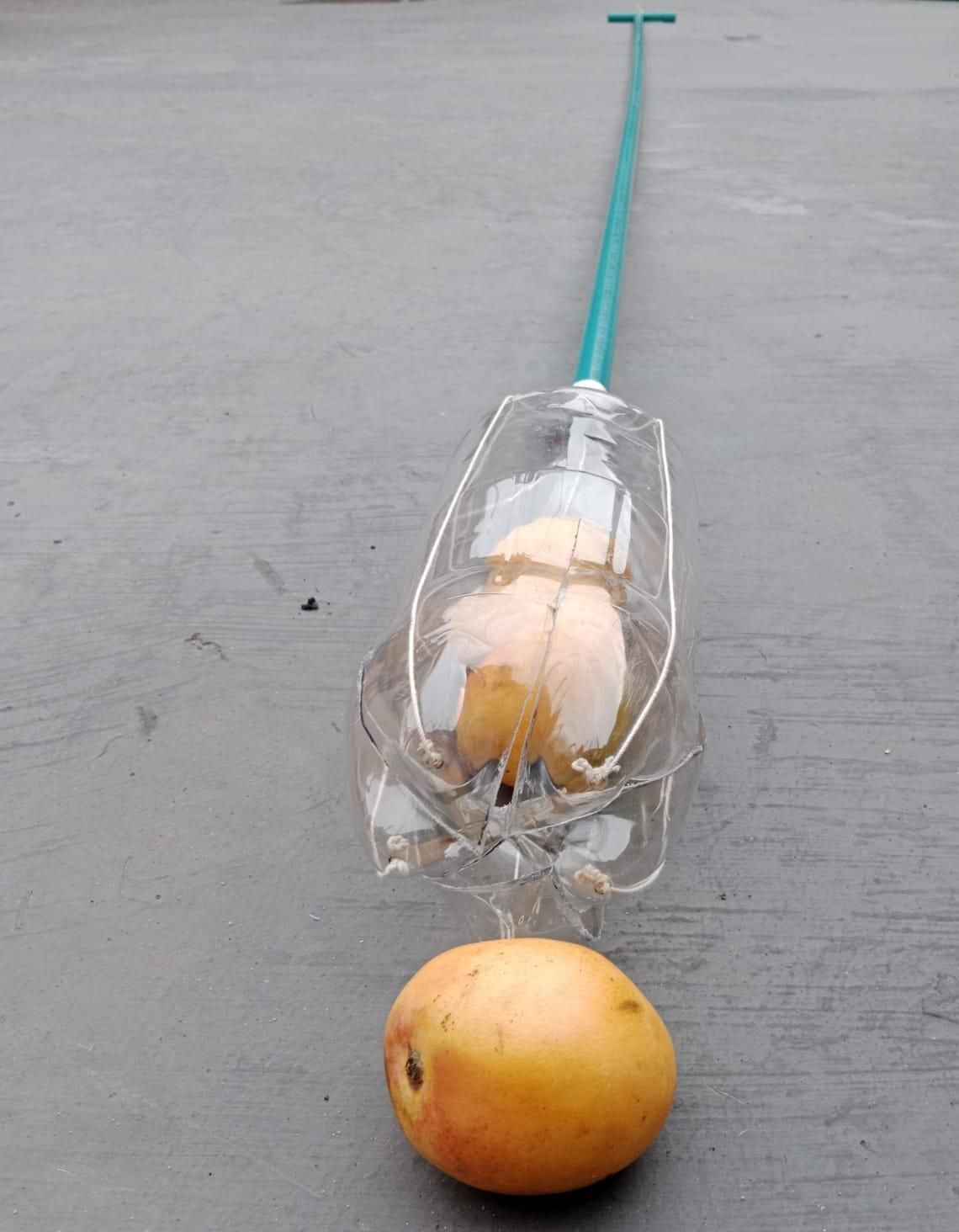 Homemade Fruit Picker : 14 Steps (with Pictures) - Instructables