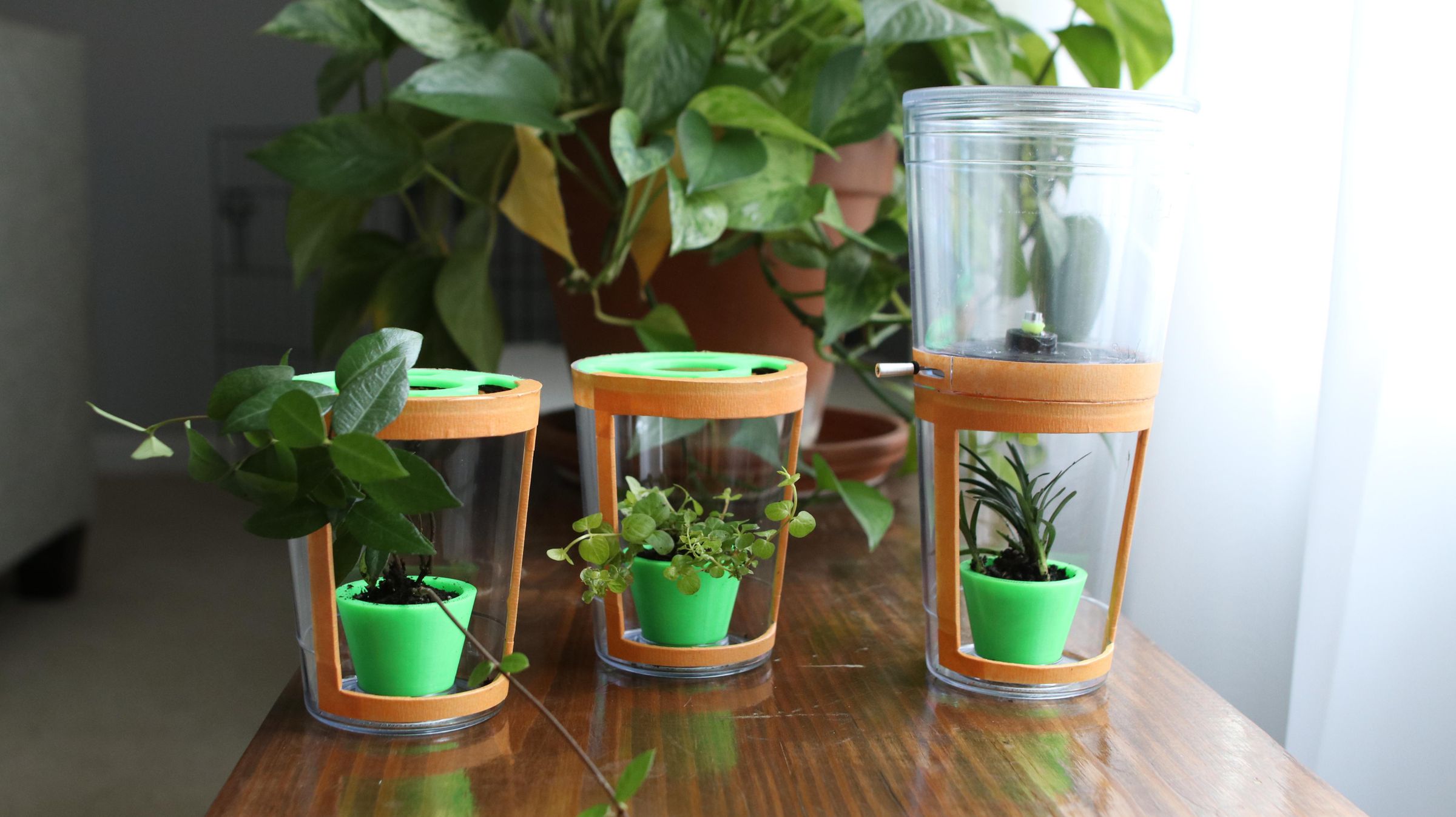 Plant Watering Cup : 9 Steps (with Pictures) - Instructables