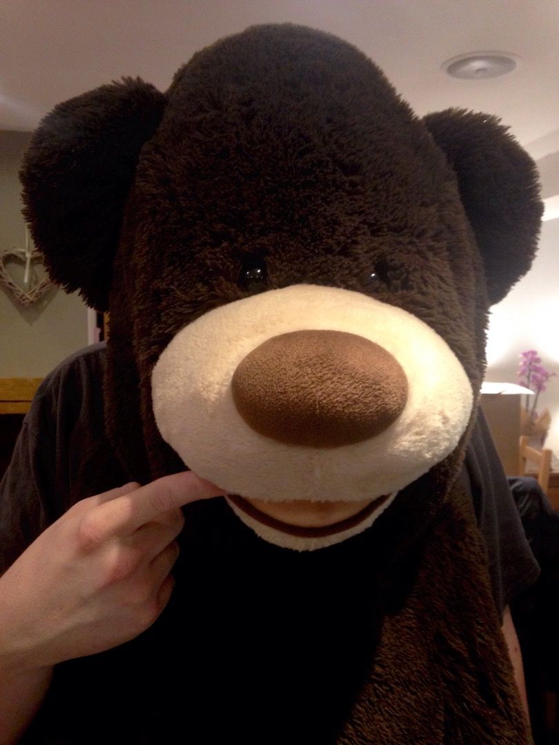 Teddy Bear Costume : 3 Steps (with Pictures) - Instructables
