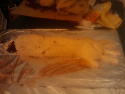 Severed Arm Cake With Crunching Bones - Instructables