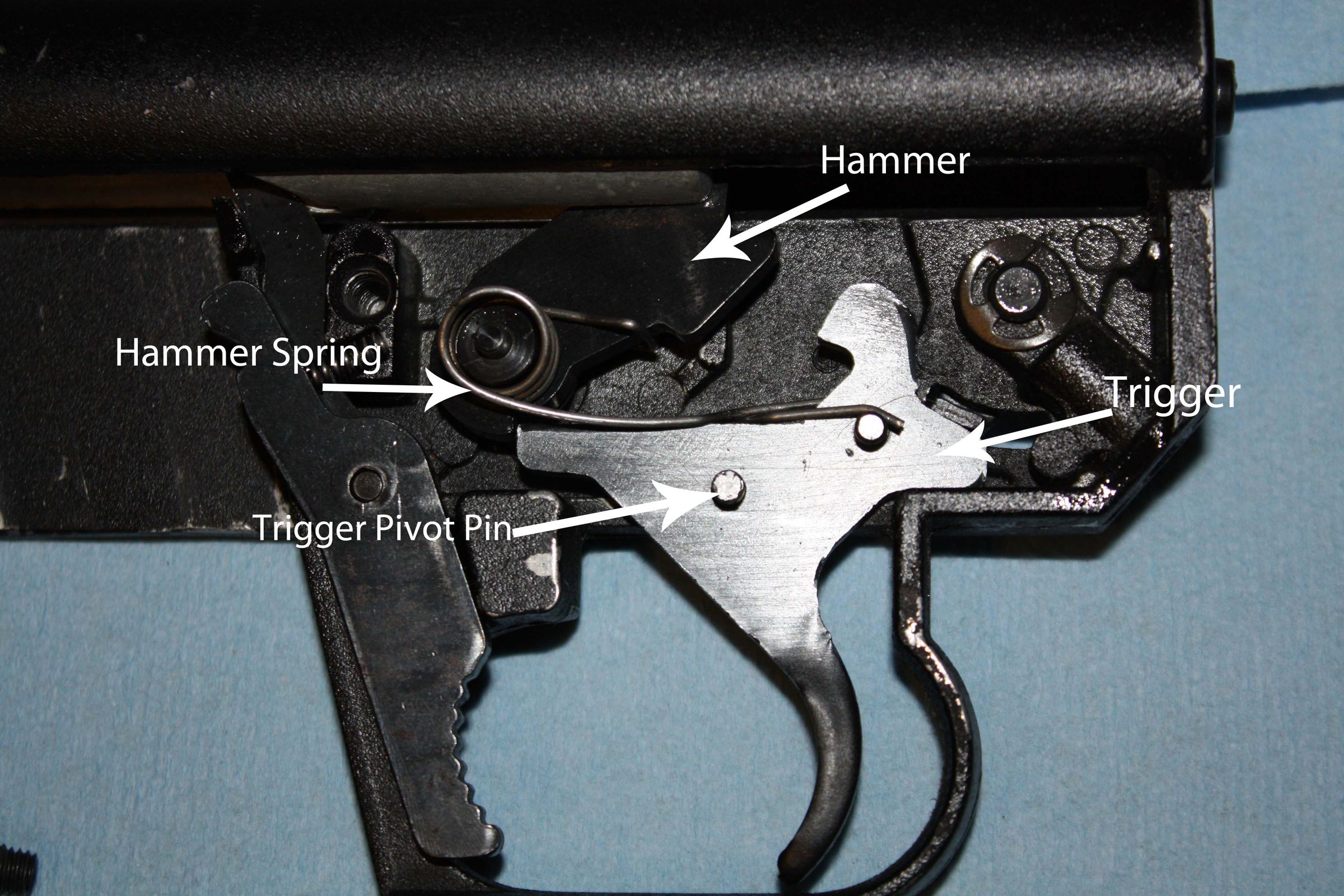 The Care and Feeding of the Armalite AR-7 : 6 Steps - Instructables
