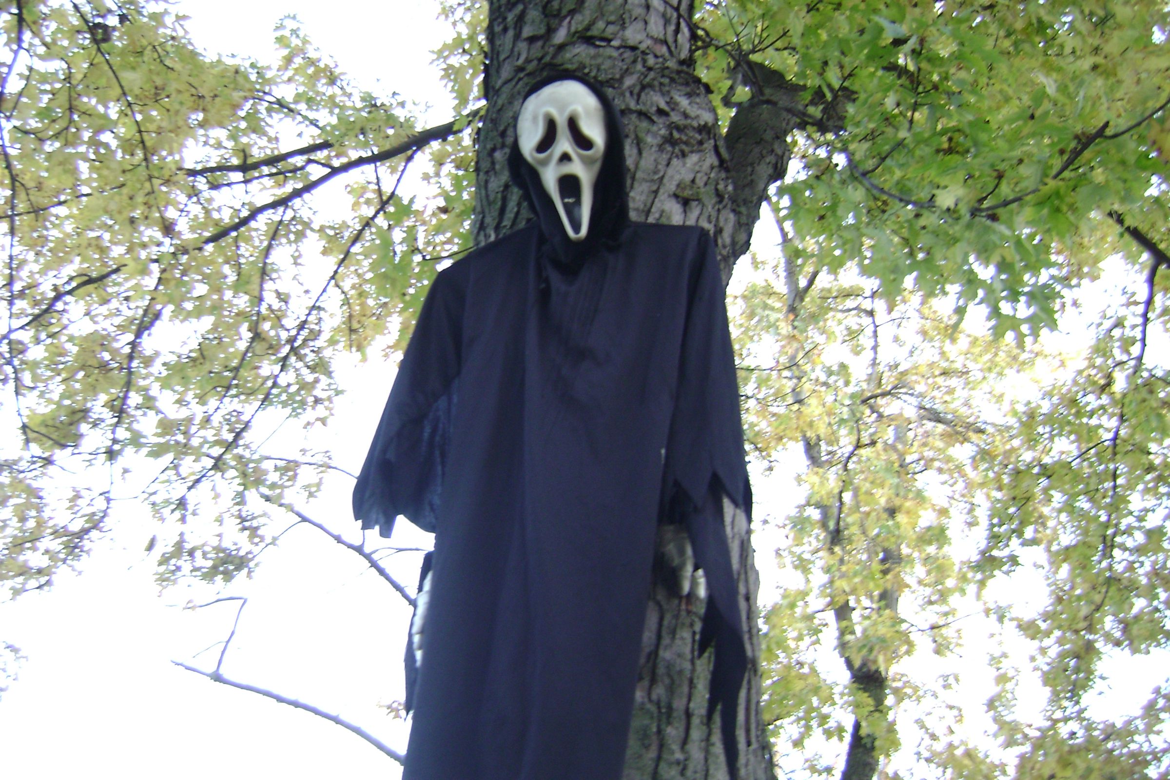 How to Make a Graveyard : 10 Steps - Instructables