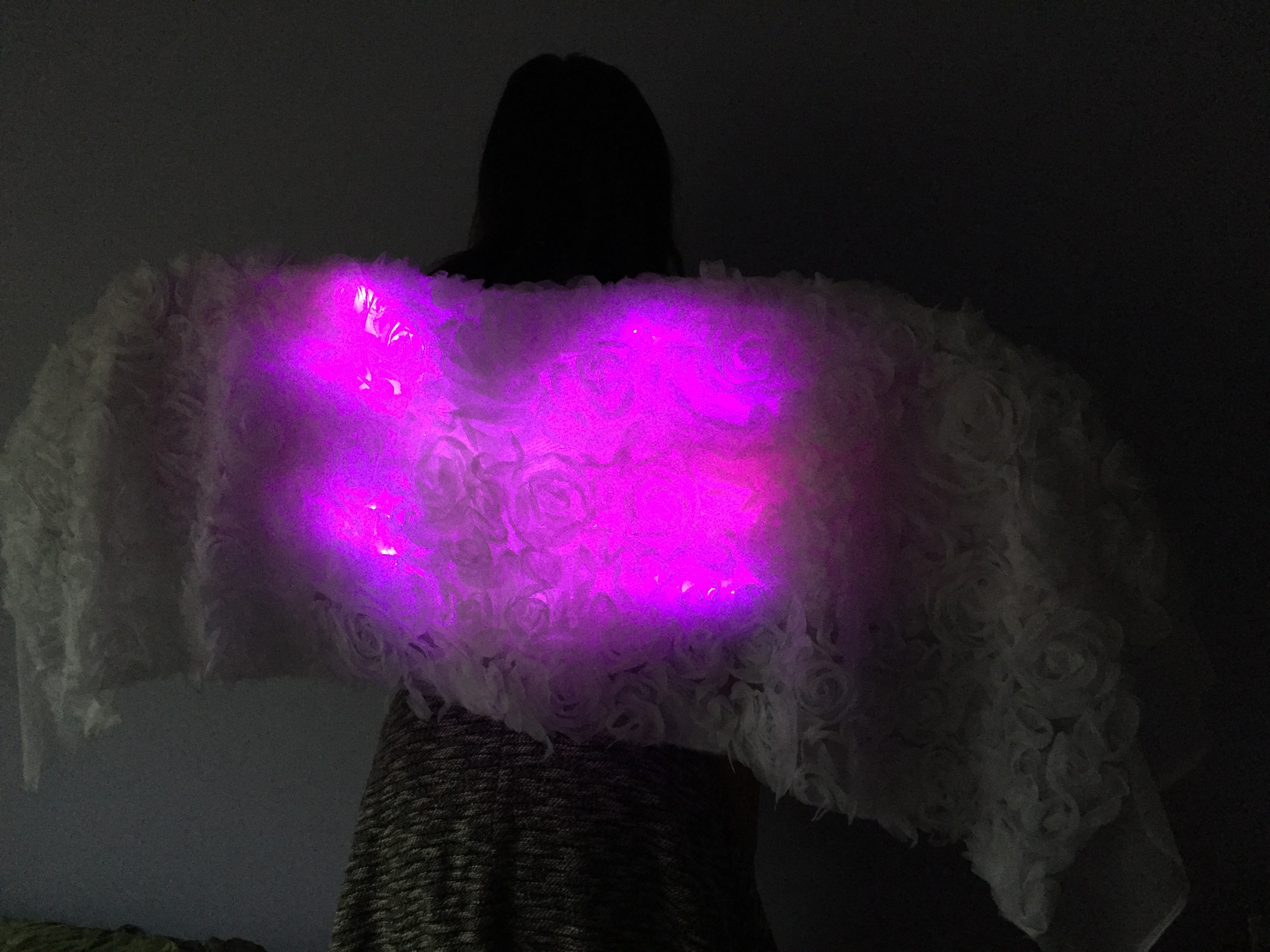 Neopixel Light Up Fire and Ice Wings : 4 Steps (with Pictures ...
