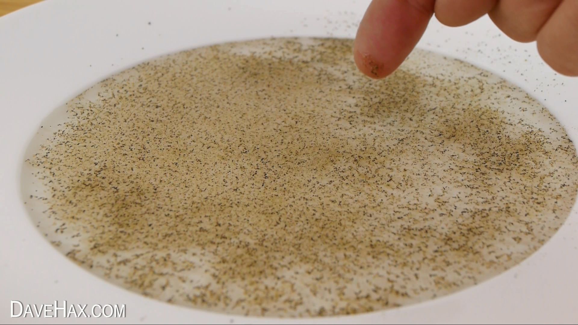 How Dish Soap Works - Water Surface Tension Experiment : 7 Steps (with ...