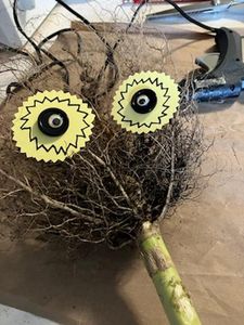 Easy Peasy Halloween Creatures : 4 Steps - Instructables