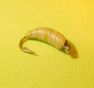 Fly Fishing - Maggot Fly (blowfly Larvae) Step by Step : 4 Steps (with ...