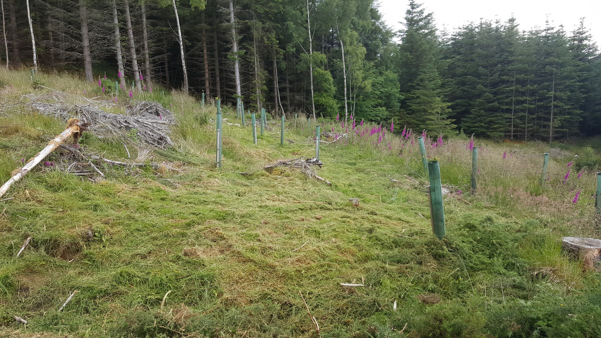 Log Pallet Bridge Introduction and Information : 13 Steps (with ...