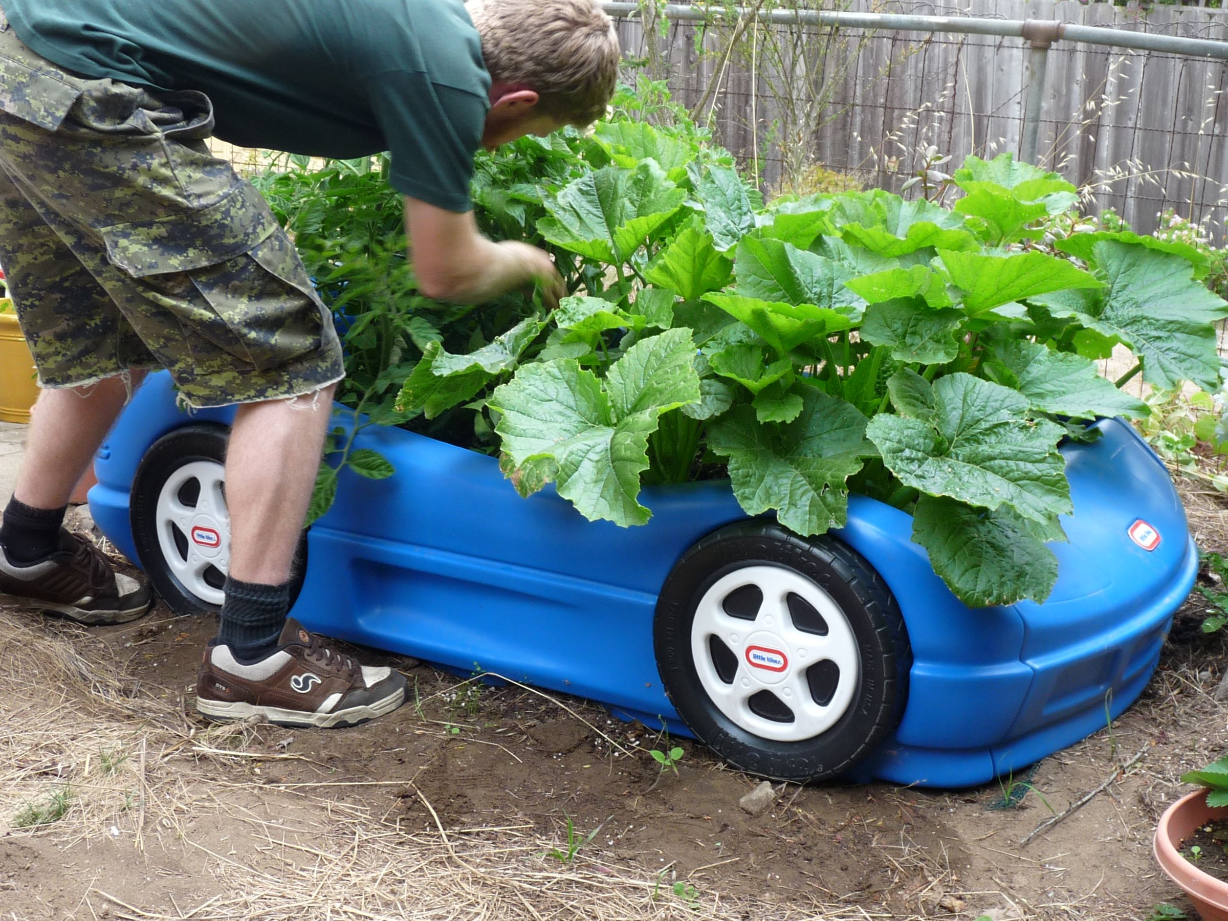 Race Car Veggie Box : 5 Steps - Instructables