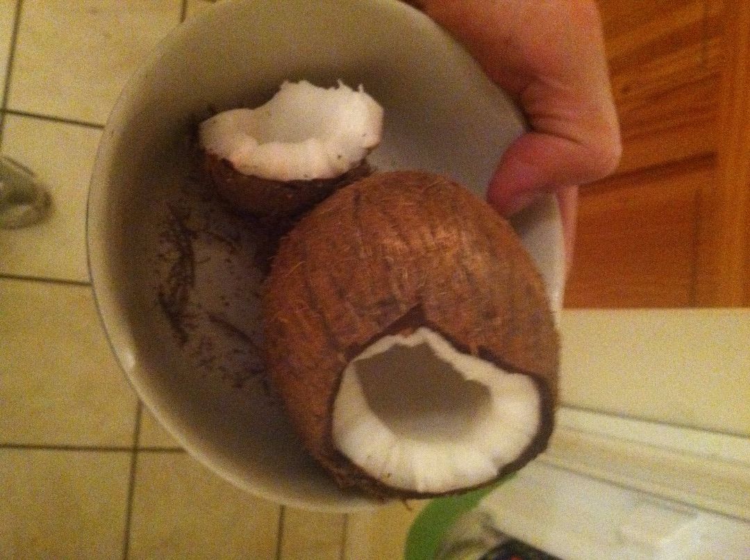 How to Open a Coconut : 4 Steps (with Pictures) - Instructables