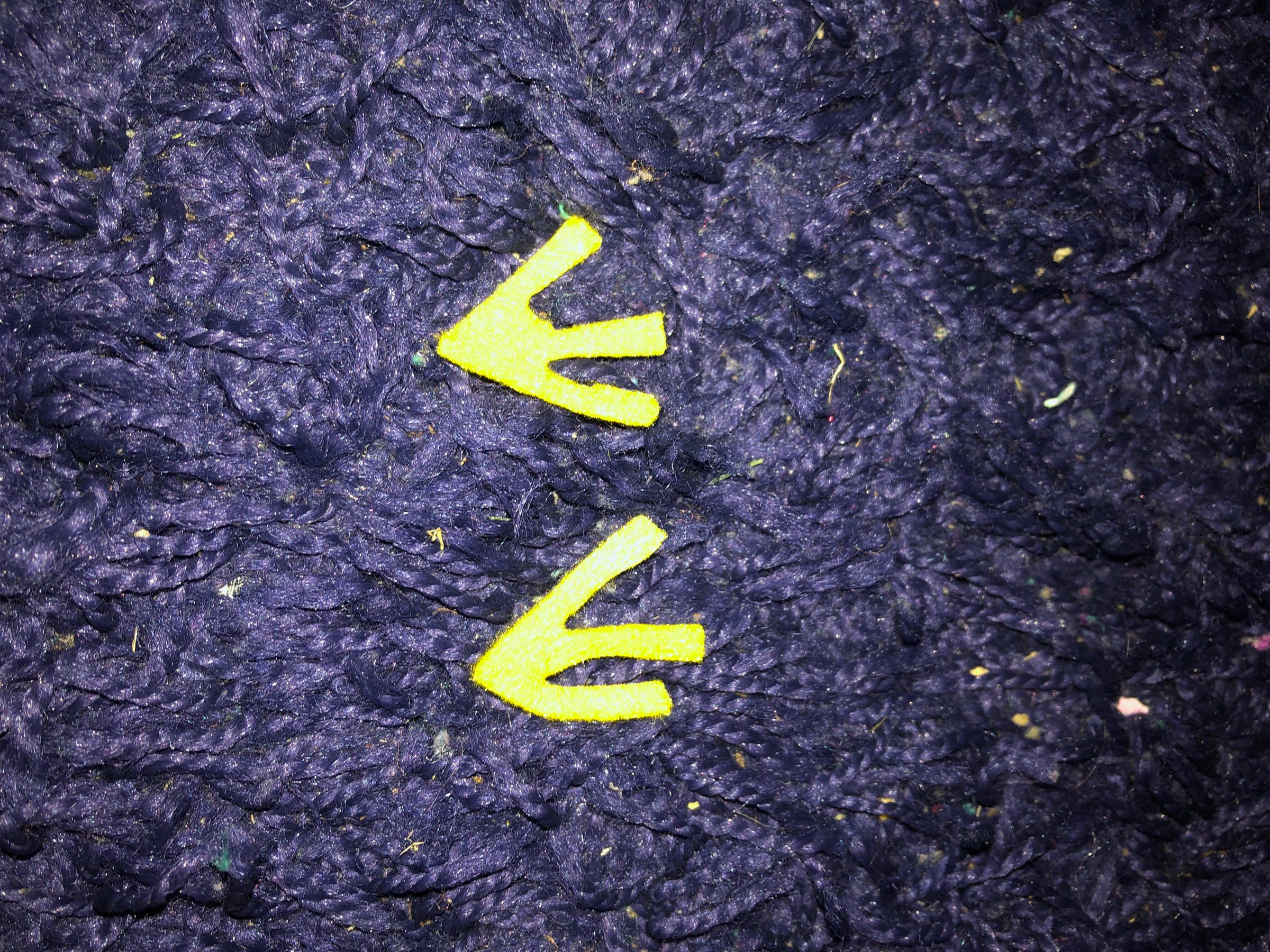 How to Make a Blue Chicken : 8 Steps - Instructables