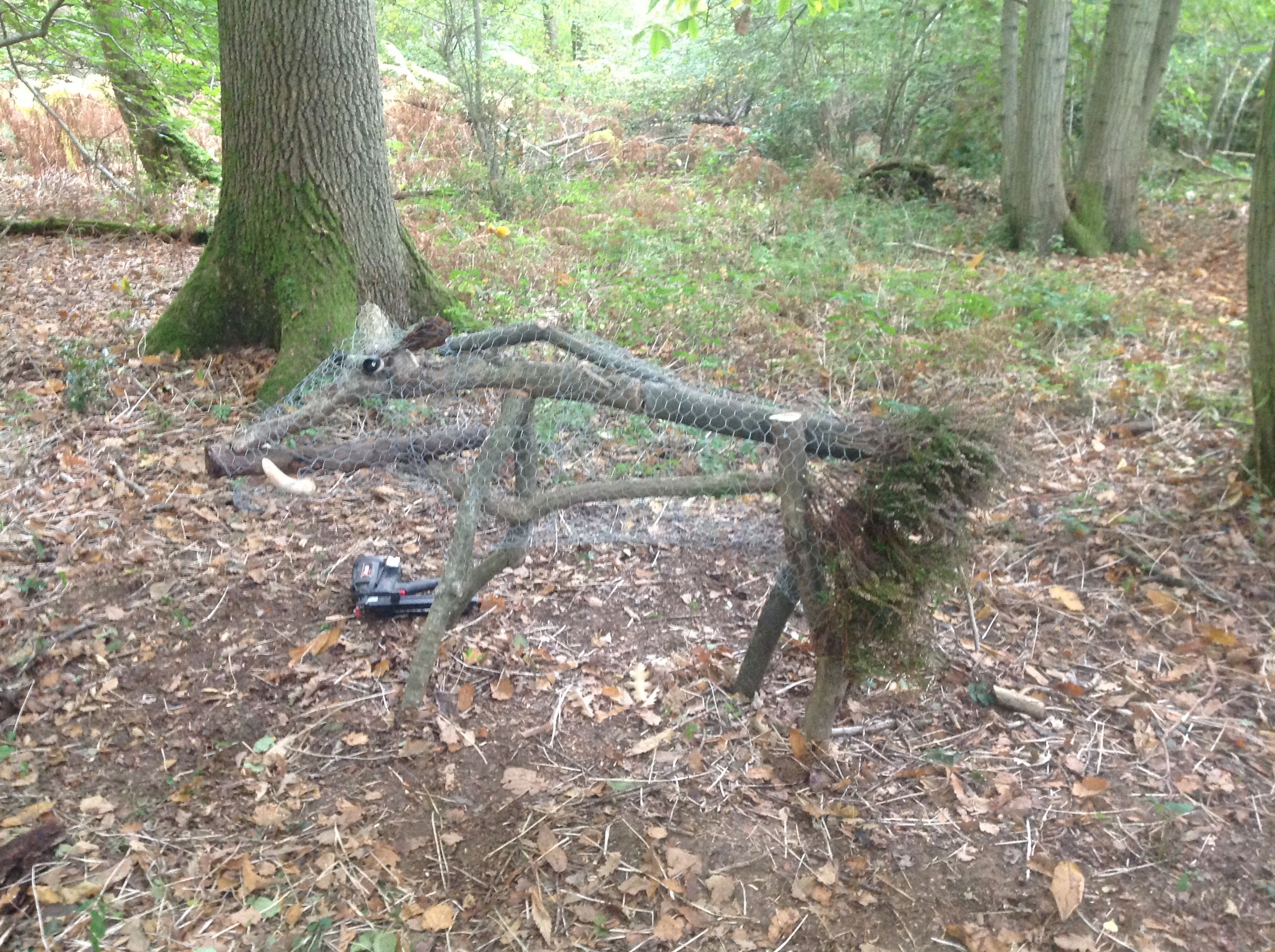 Wild Boar!!!!! : 6 Steps (with Pictures) - Instructables