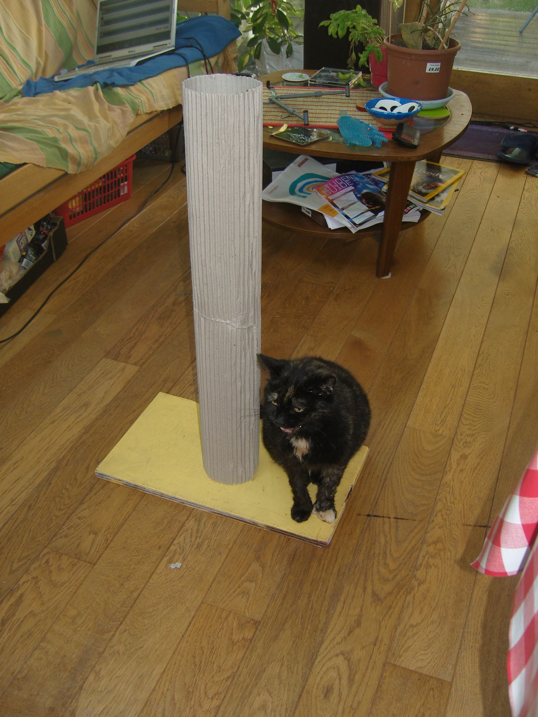 Super Budget Cat Scratch Post : 4 Steps - Instructables