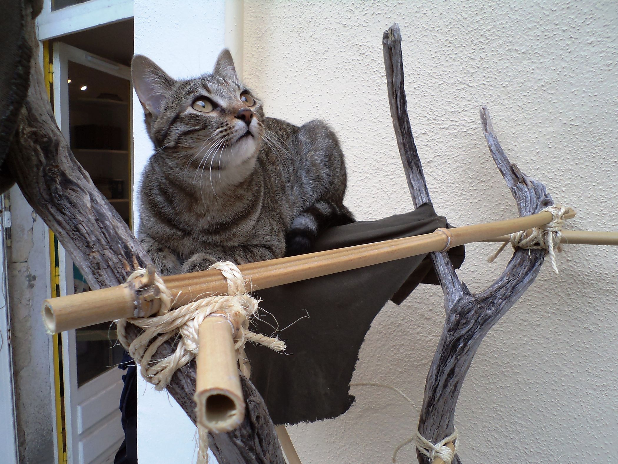 The Survivalist's Cat Tree : 3 Steps (with Pictures) - Instructables