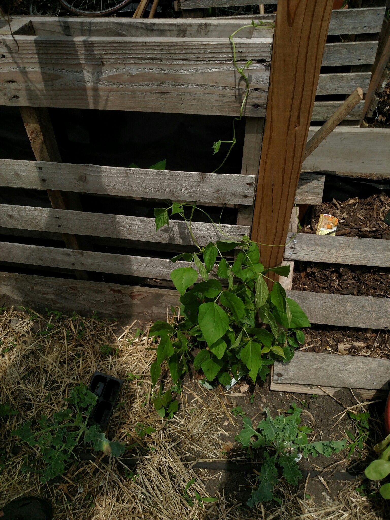 Outdoor Pallet Garden : 10 Steps (with Pictures) - Instructables