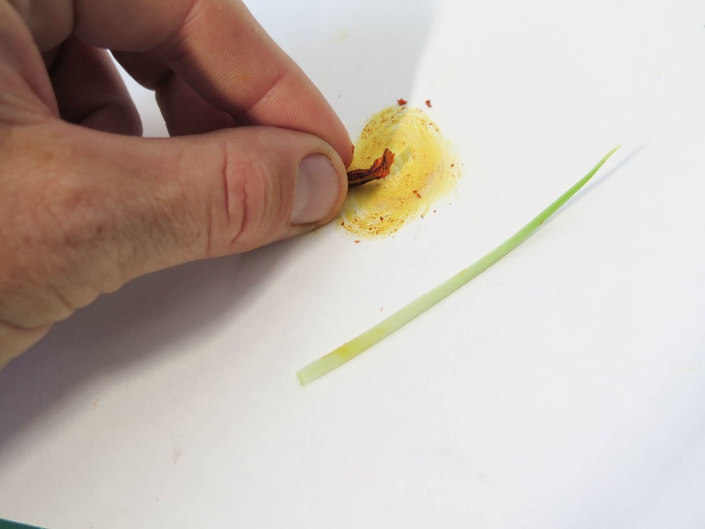 Flower Dissection! : 6 Steps (with Pictures) - Instructables