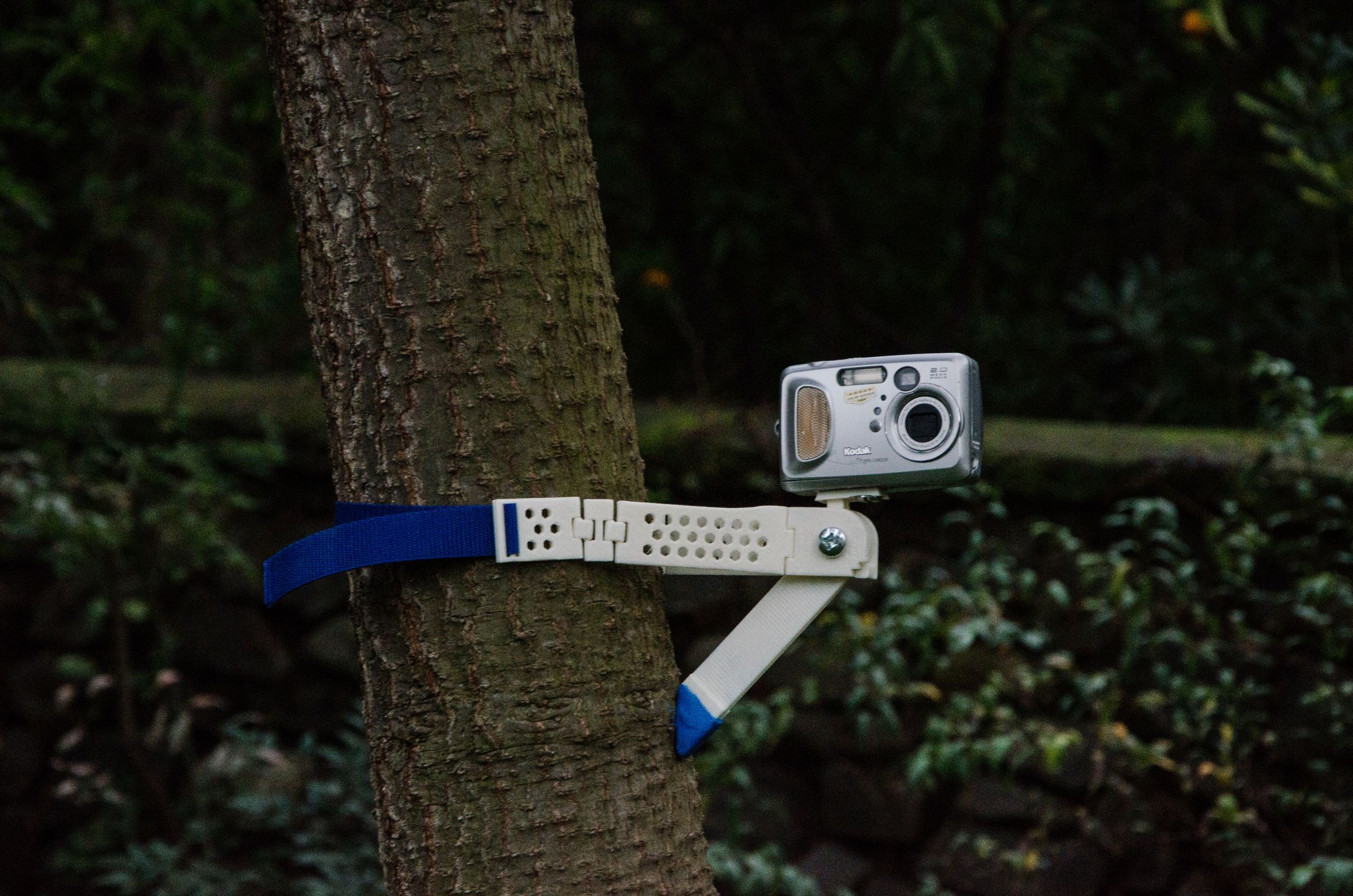 Koala Camera Mount : 7 Steps (with Pictures) - Instructables
