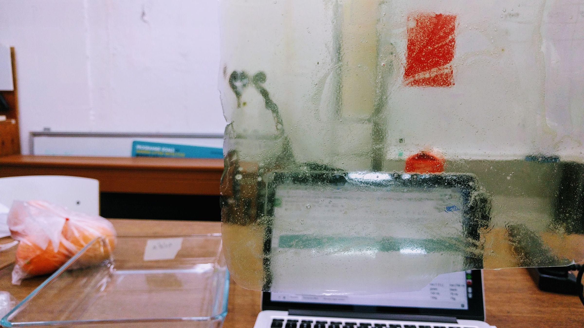 Make Your Own Bioplastics! : 4 Steps (with Pictures) - Instructables