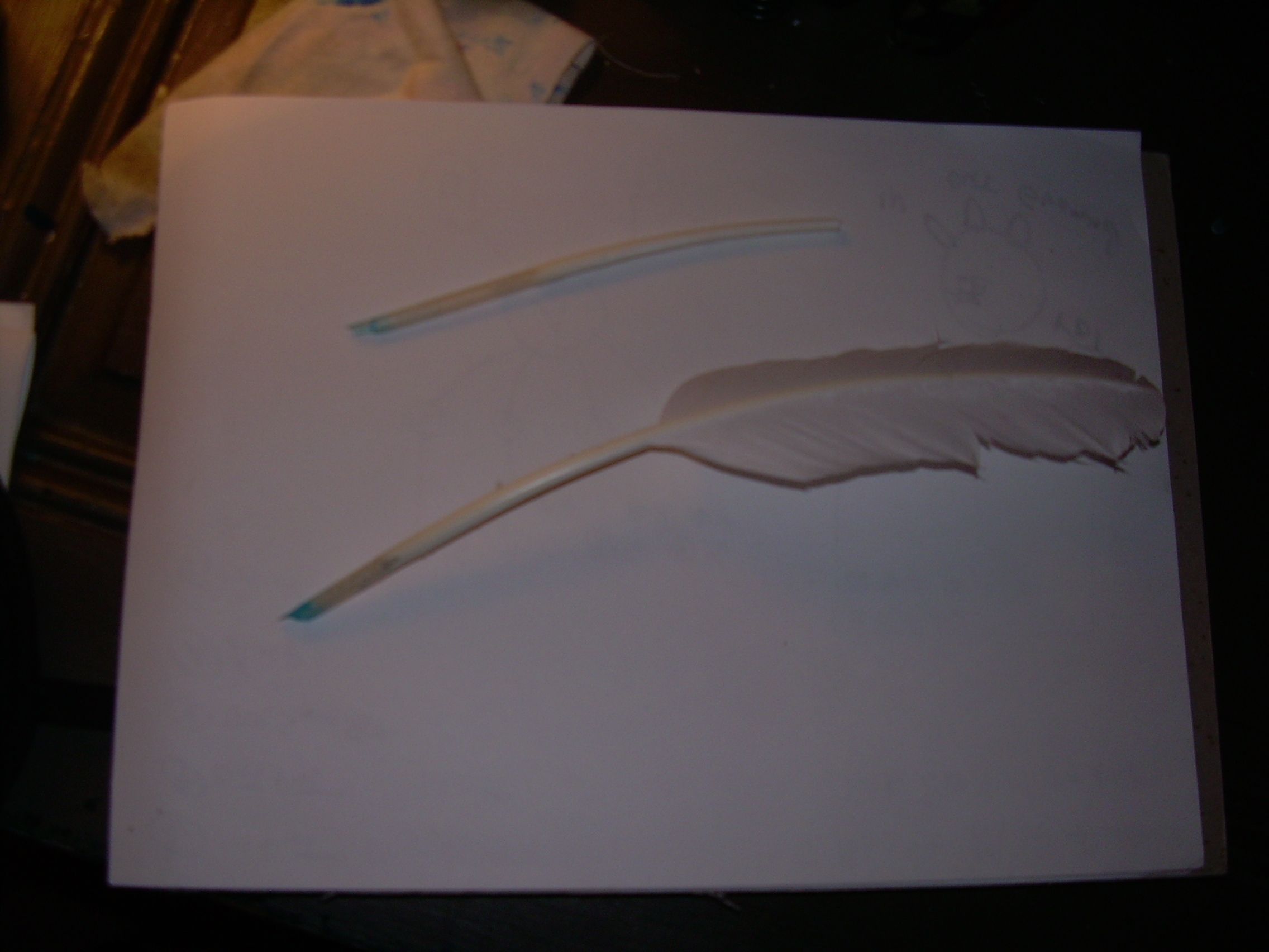 Make a Real Feather Writing Quill : 4 Steps (with Pictures) - Instructables