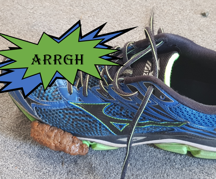 There's Poo on Your Shoe : 5 Steps (with Pictures) - Instructables