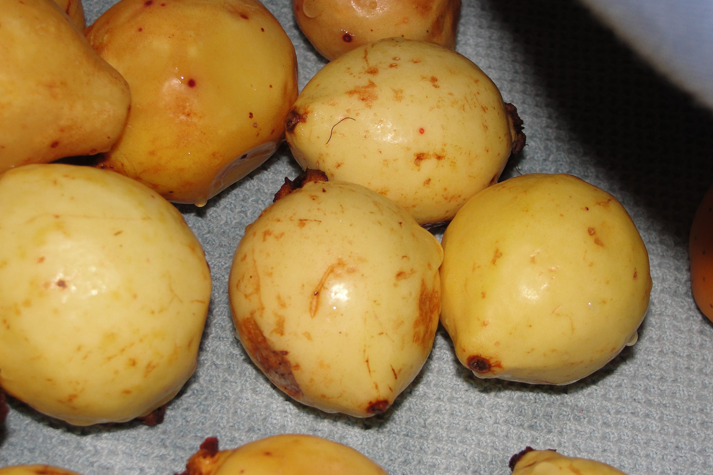 Tropical Fruit Punch (Mocktail) : 3 Steps - Instructables