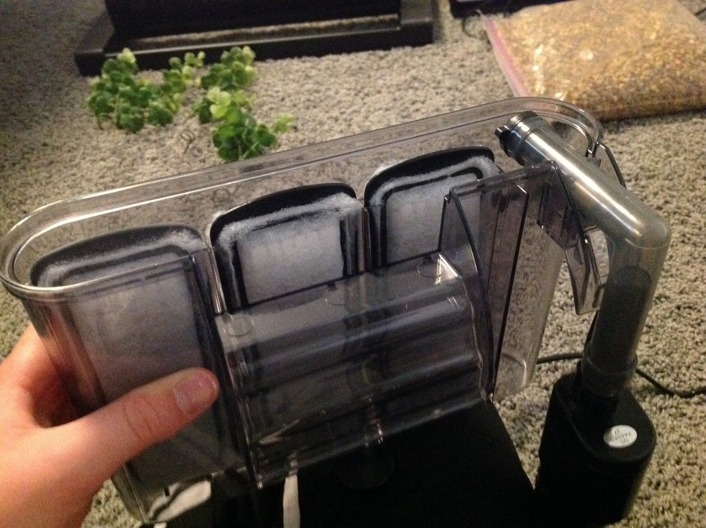 DIY: How to Set Up a Fish Tank : 9 Steps (with Pictures) - Instructables