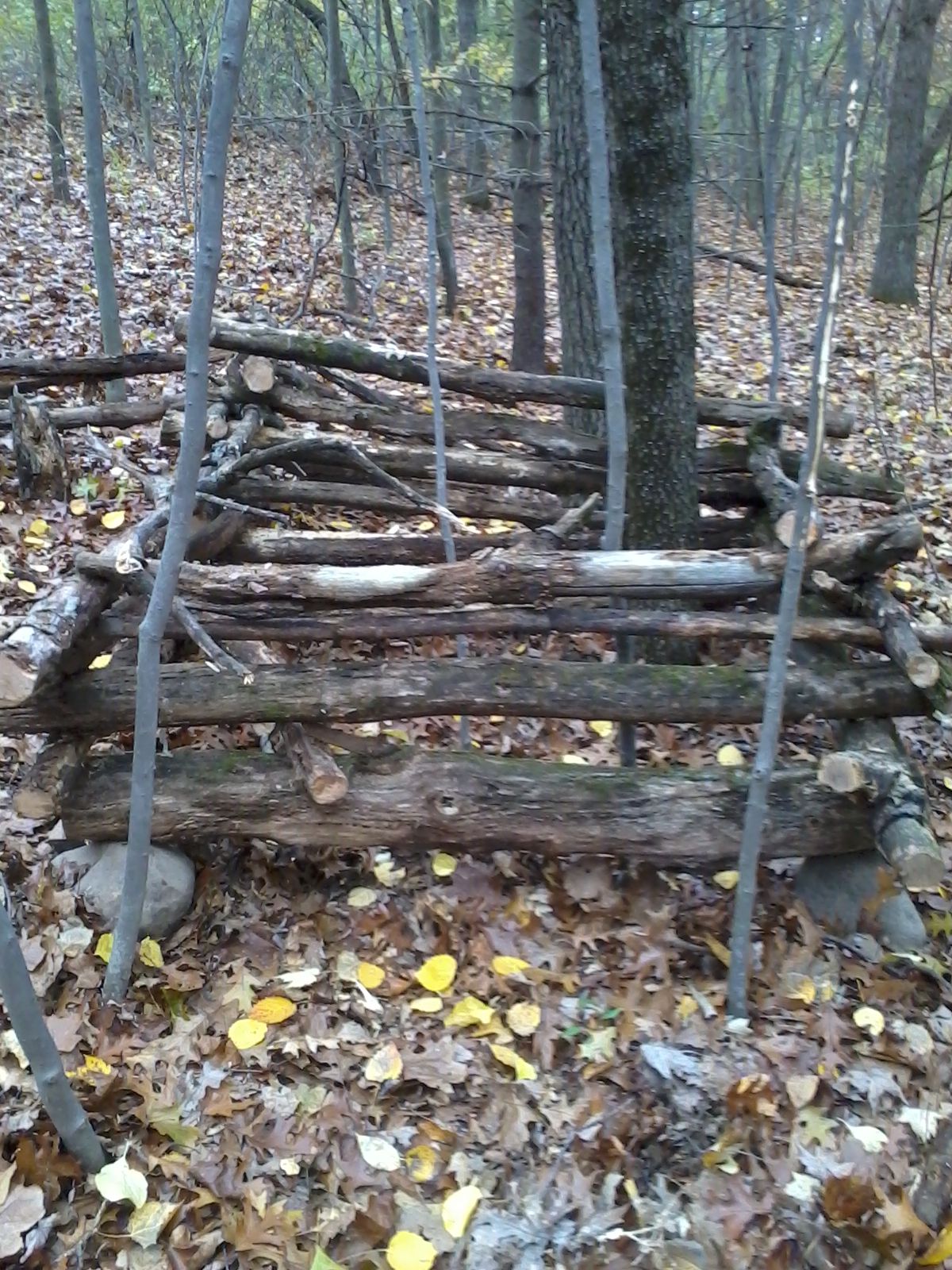 How to Make an Airsoft Base in a Wooded Area : 3 Steps - Instructables