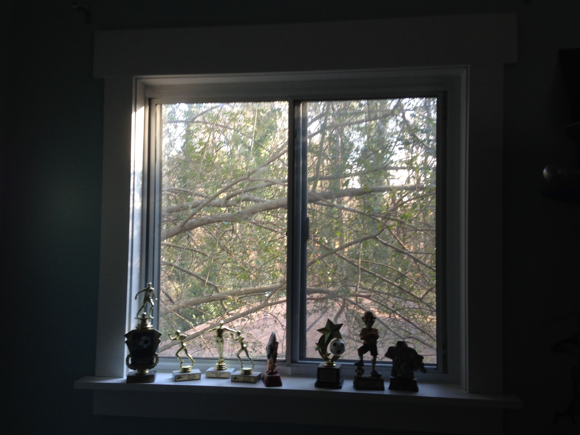 Make an Old House More Energy Efficient With Inset Storm Windows : 7 ...