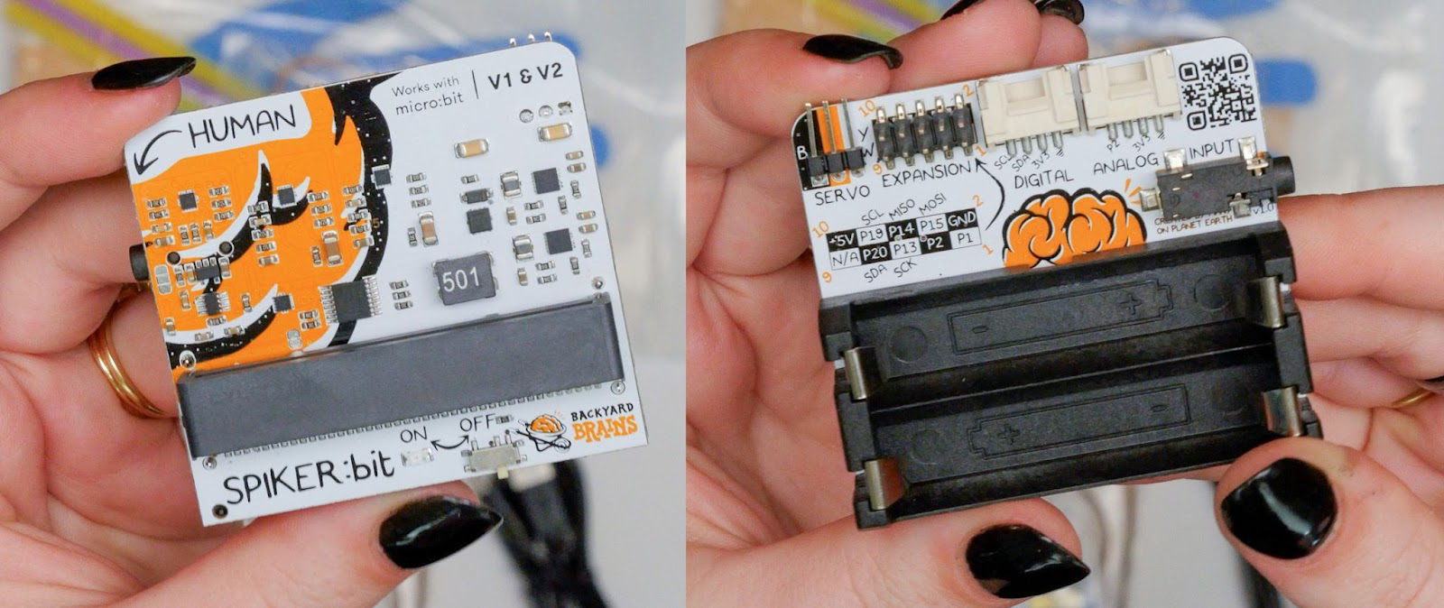DIY Neuroscience With Spiker:bit : 6 Steps (with Pictures) - Instructables