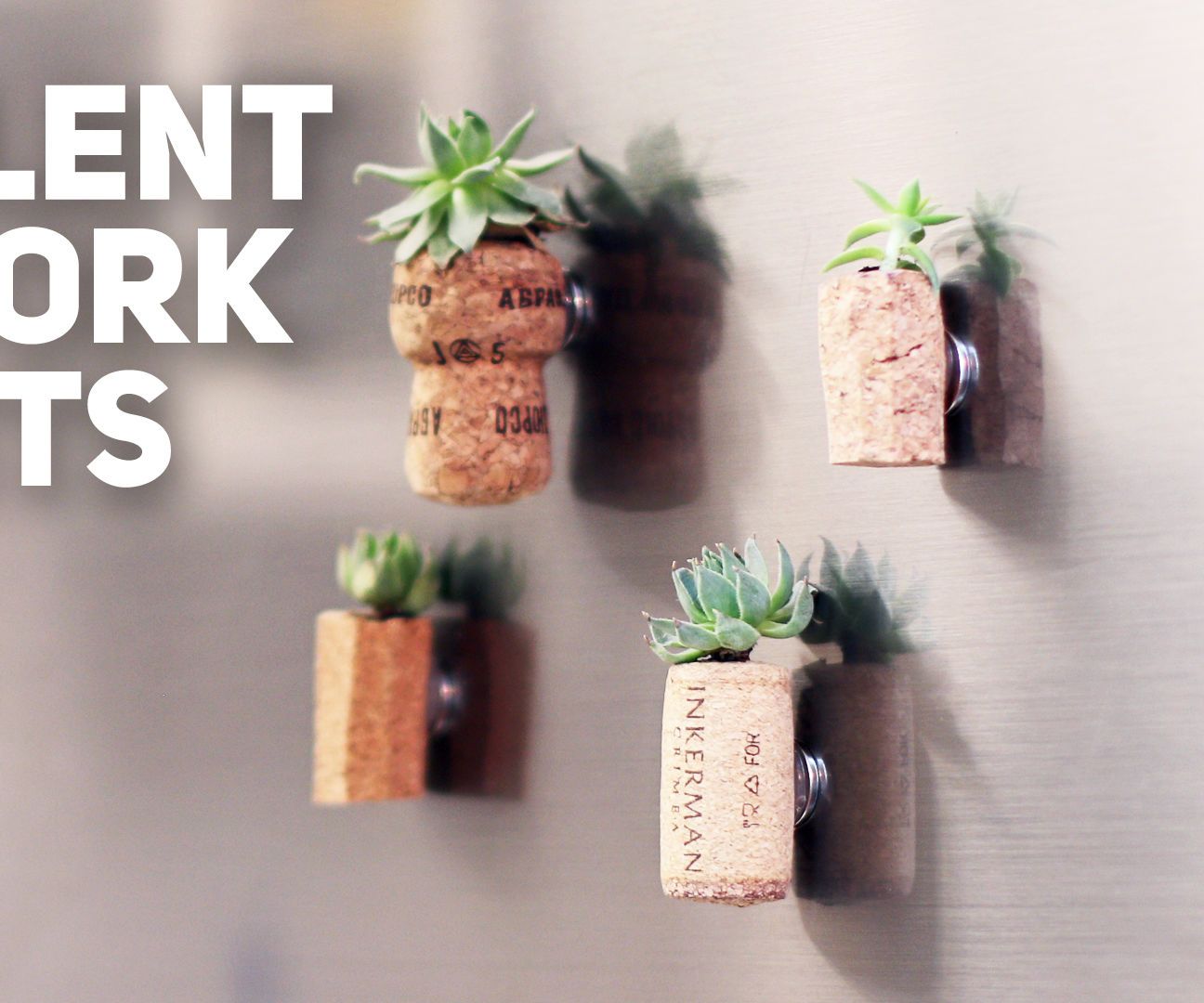 Cork Magnets With Succulent - Instructables