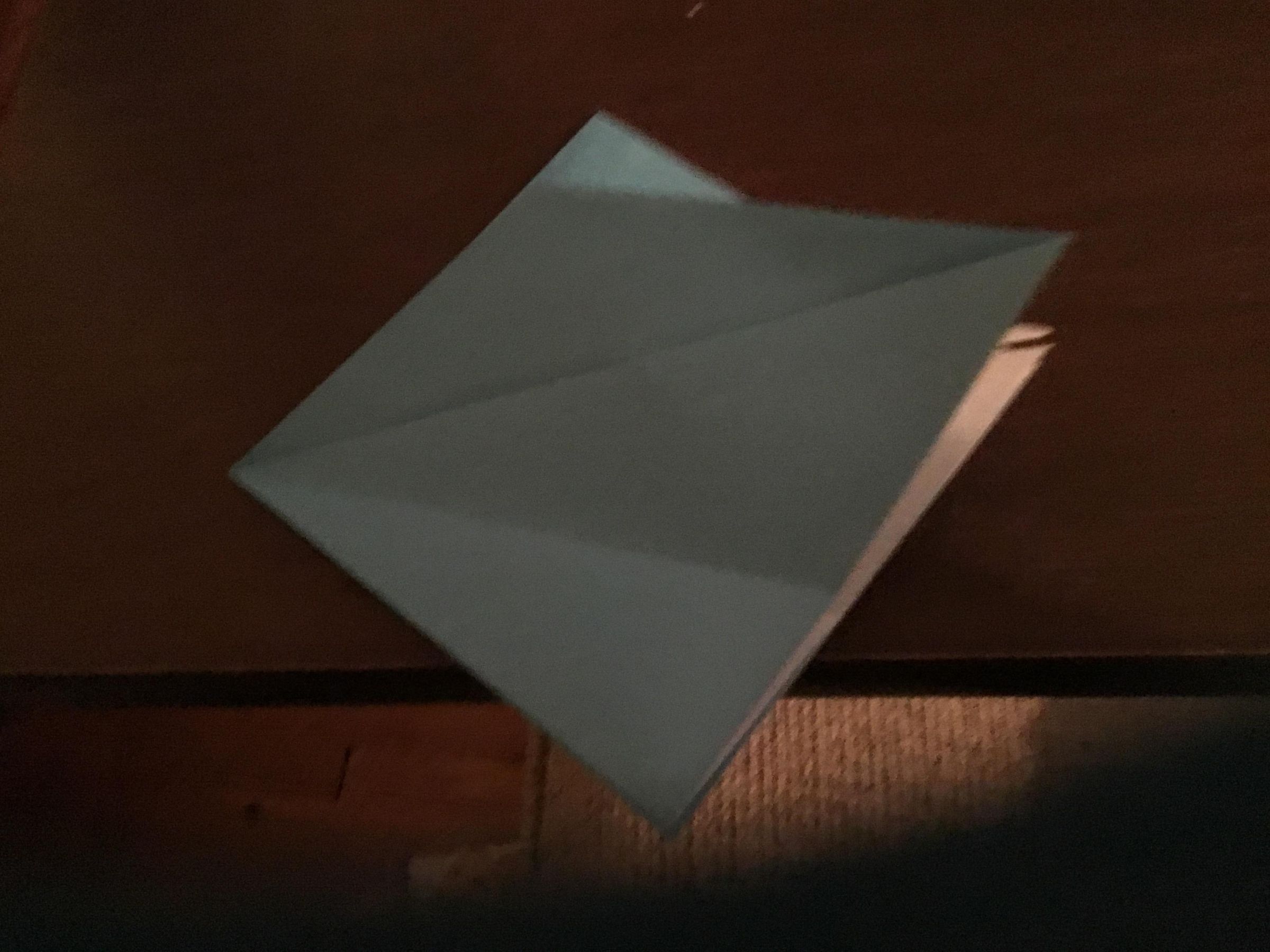 Origami Otter : 4 Steps - Instructables